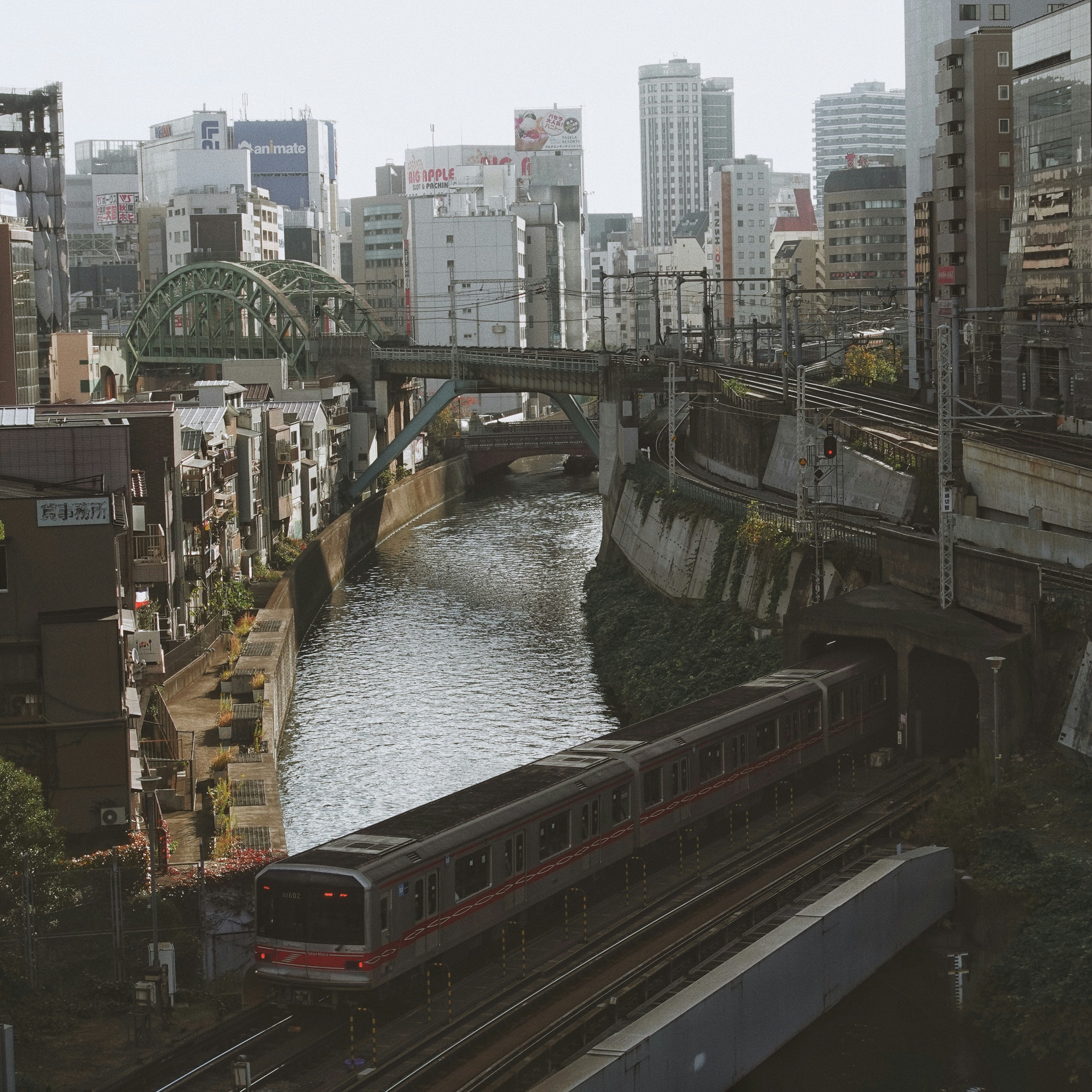 at 聖橋（御茶ノ水駅）