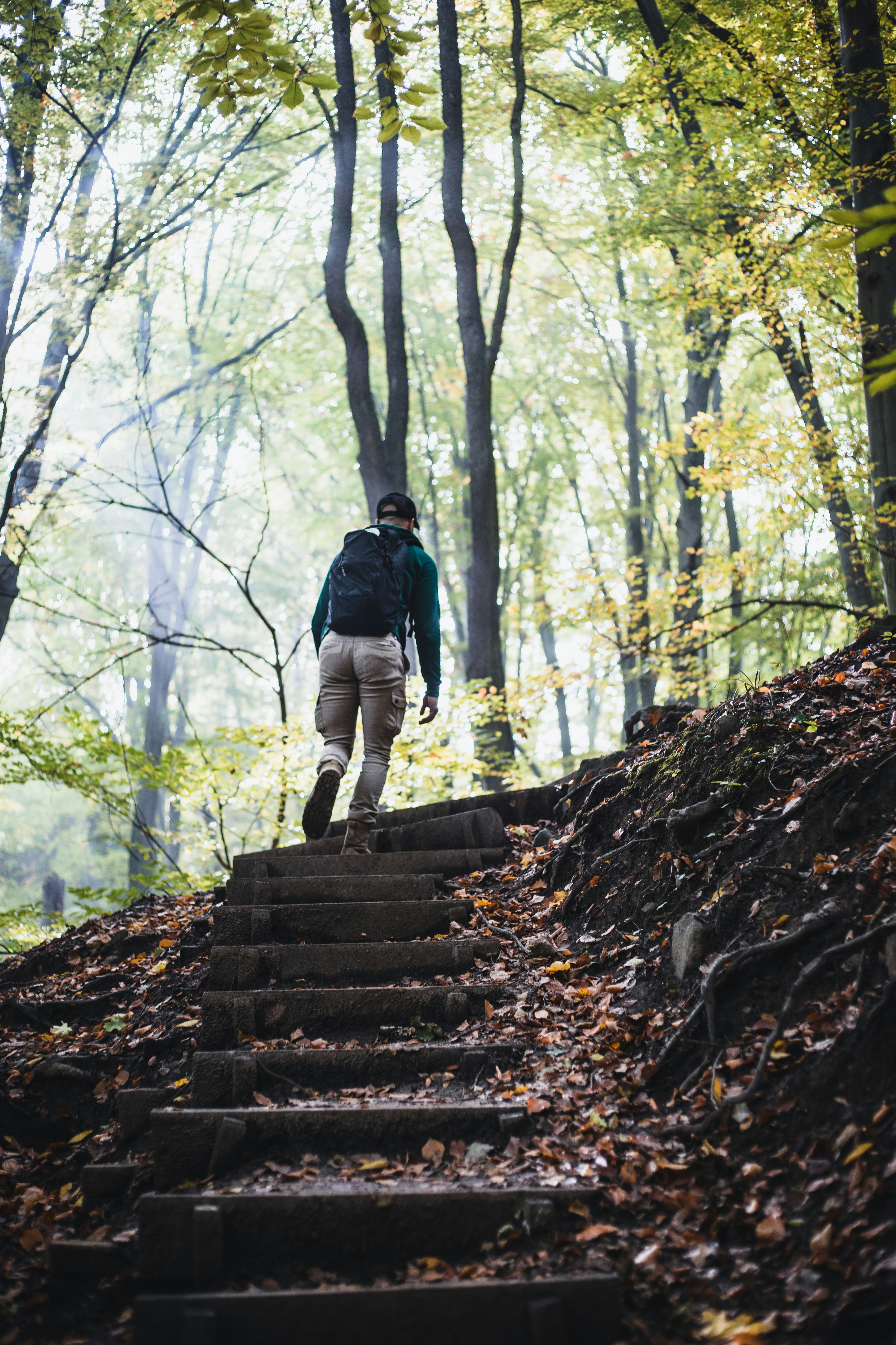Hiker climbing stone steps surrounded by vibrant autumn foliage in a misty forest. The scene evokes a sense of adventure and tranquility.