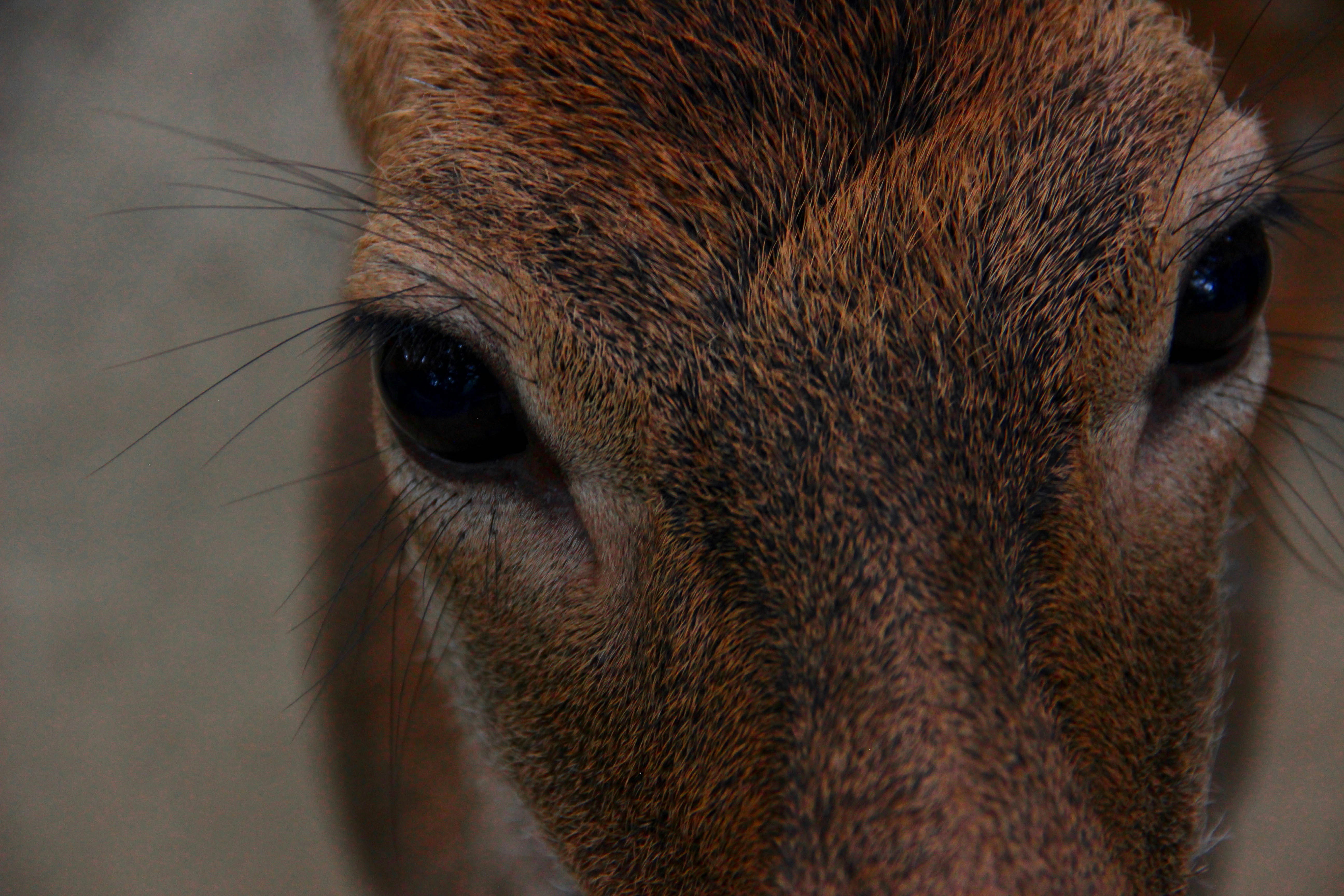 Aya Salman (@ayasn) | Unsplash Photo Community