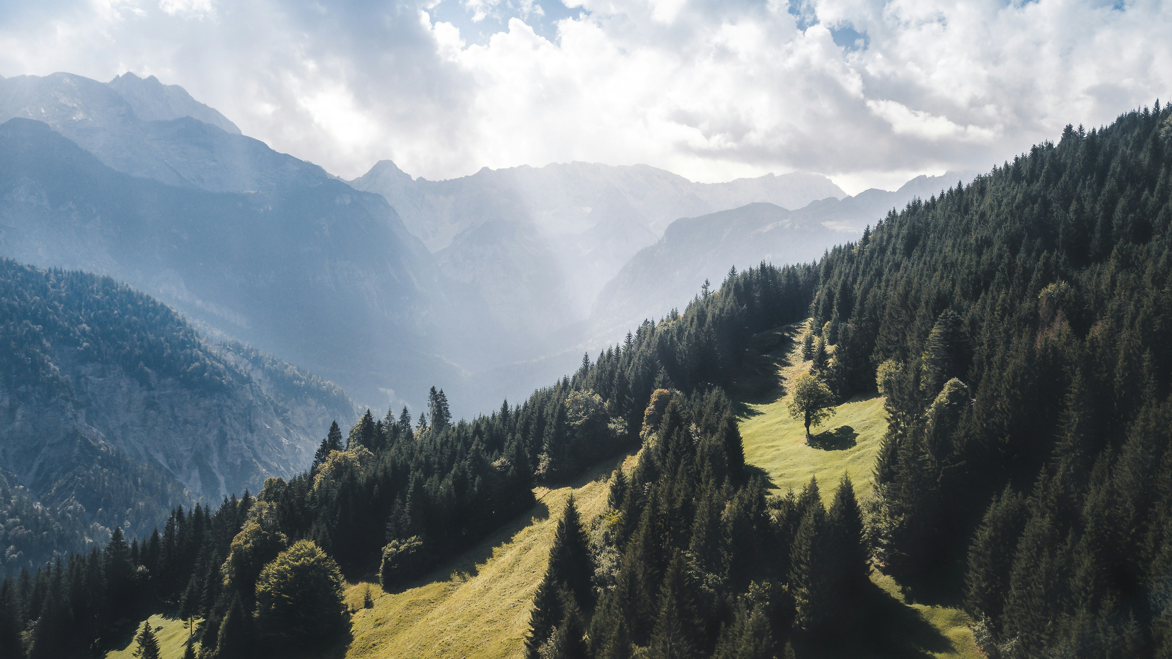 Sun-dappled forest slopes lead to distant mountain peaks under a partly cloudy sky.