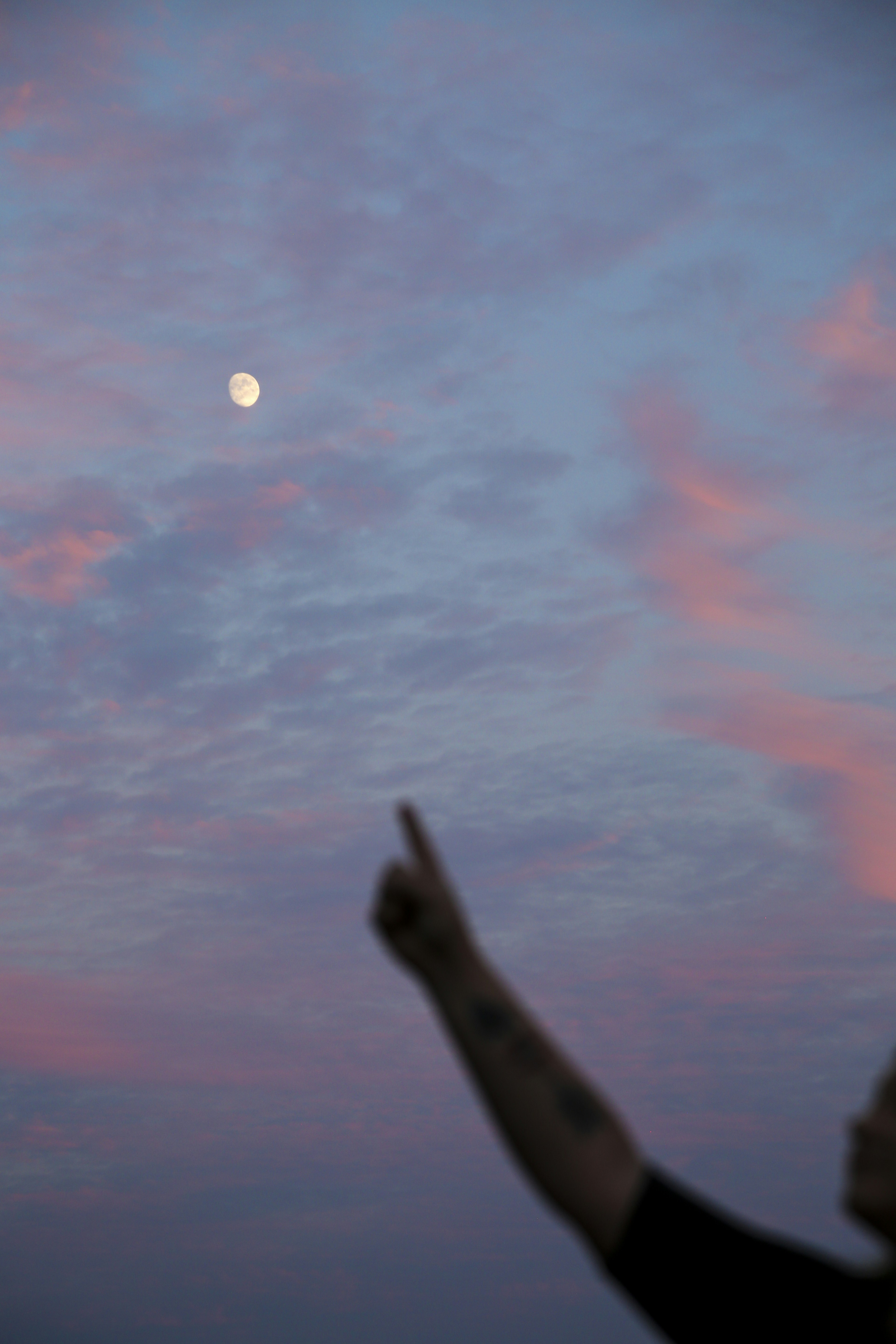 An arm with a tattoo is pointing at the moon in the sky during sunset.