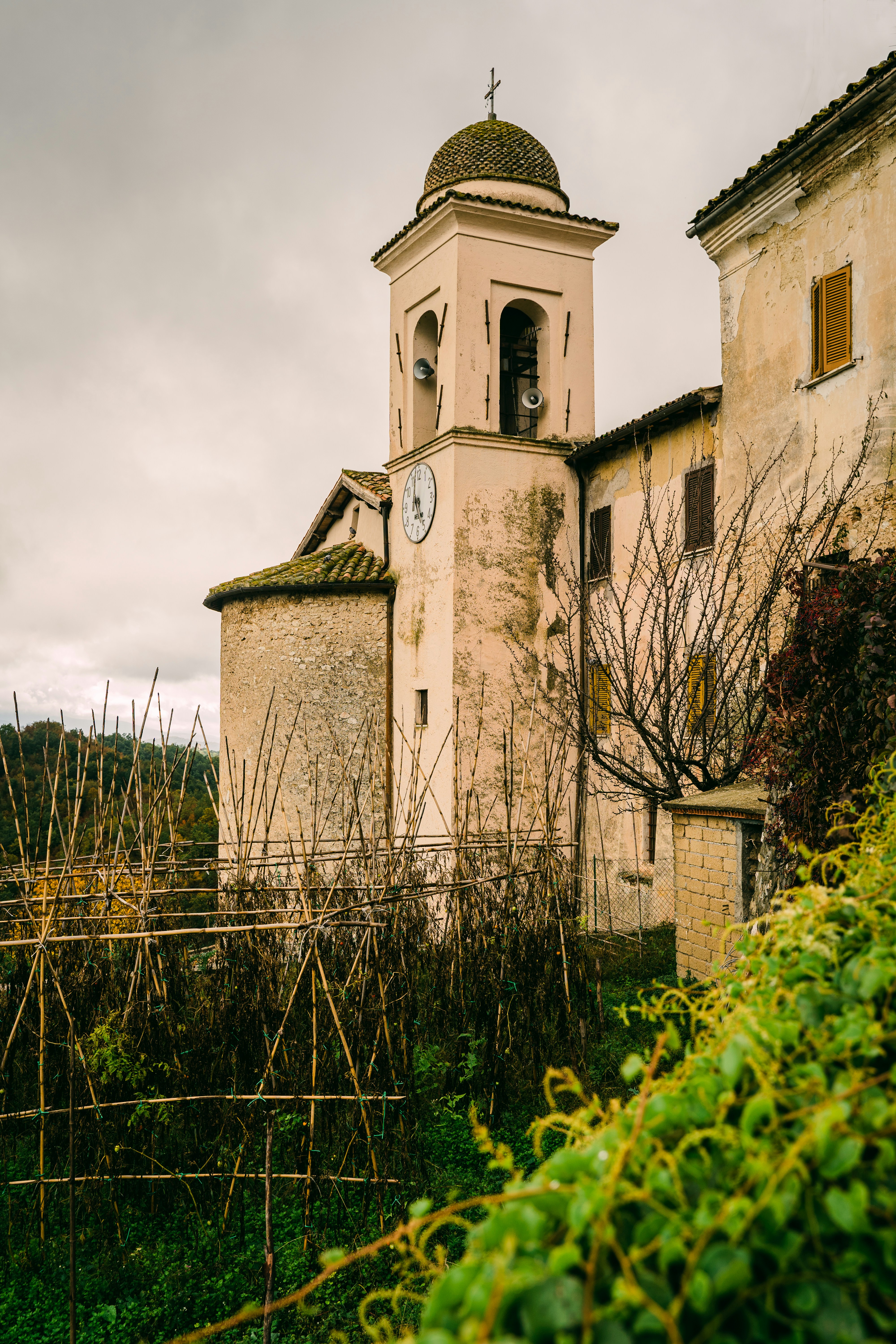 Weathered Bell Tower Rising Over a Vine-Framed Village Scene