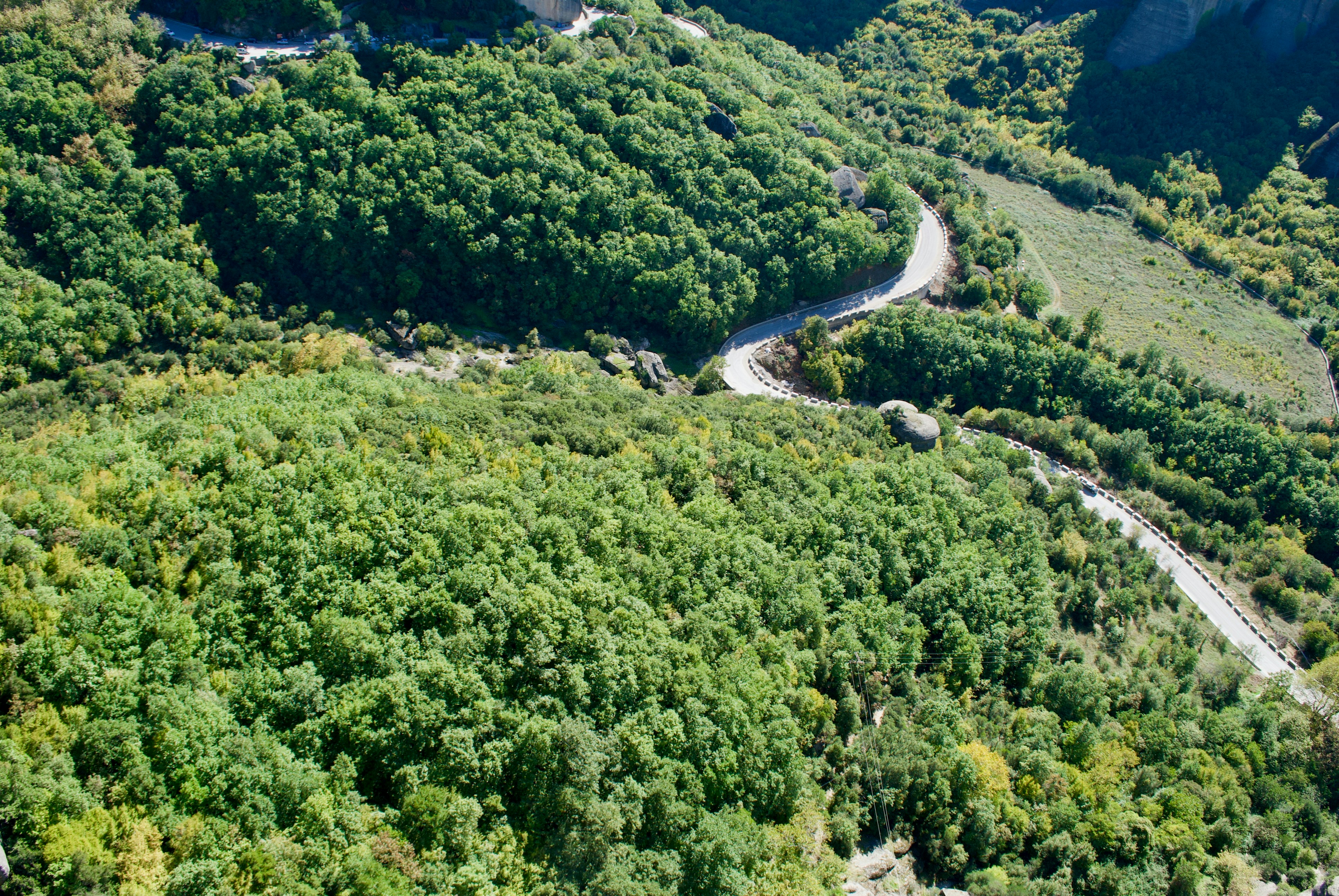 Aerial view of a serpentine road meandering through dense foliage, showcasing the vibrant greens of the forest landscape.