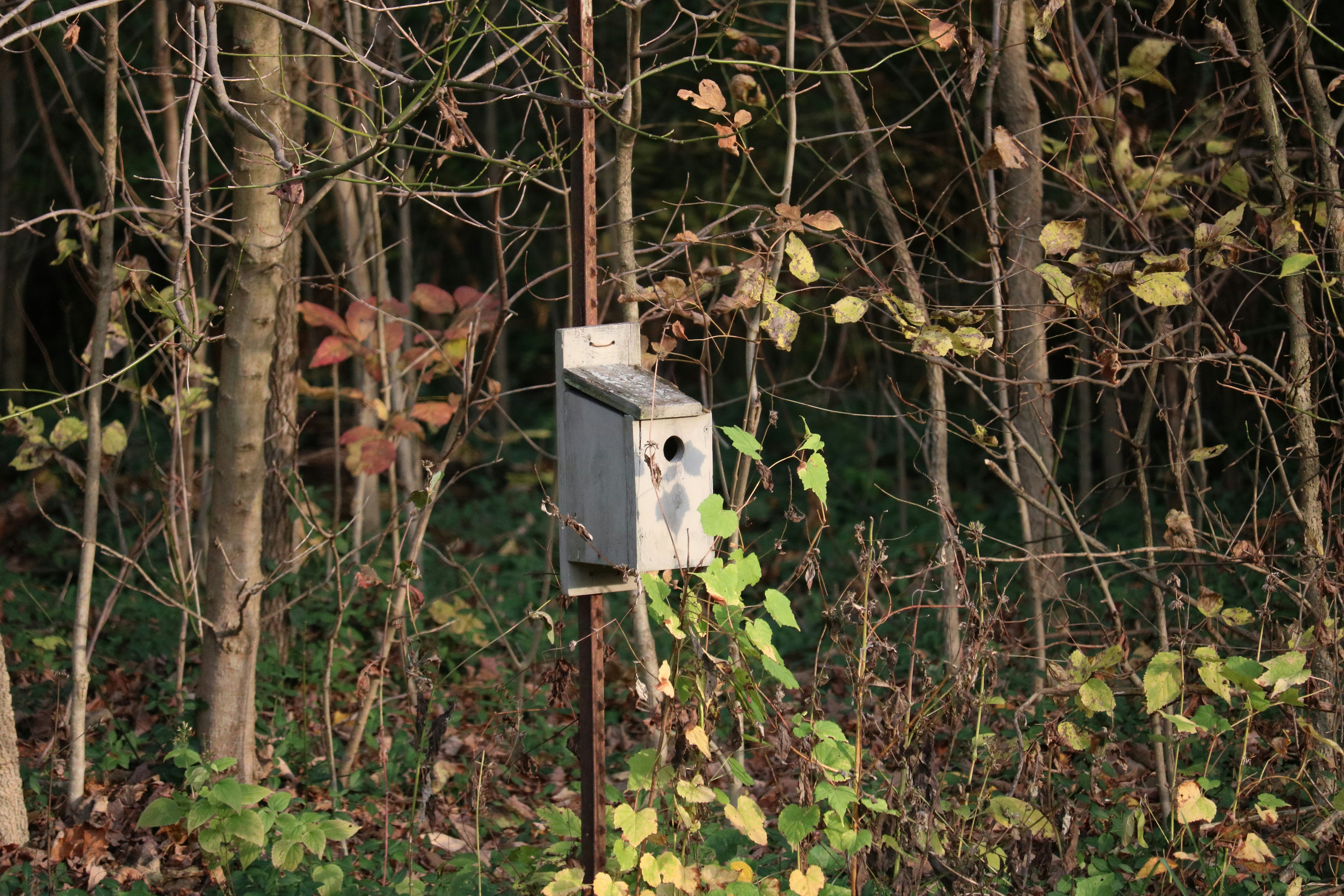 Shaik Imran (@imranmshaik) | Unsplash Photo Community