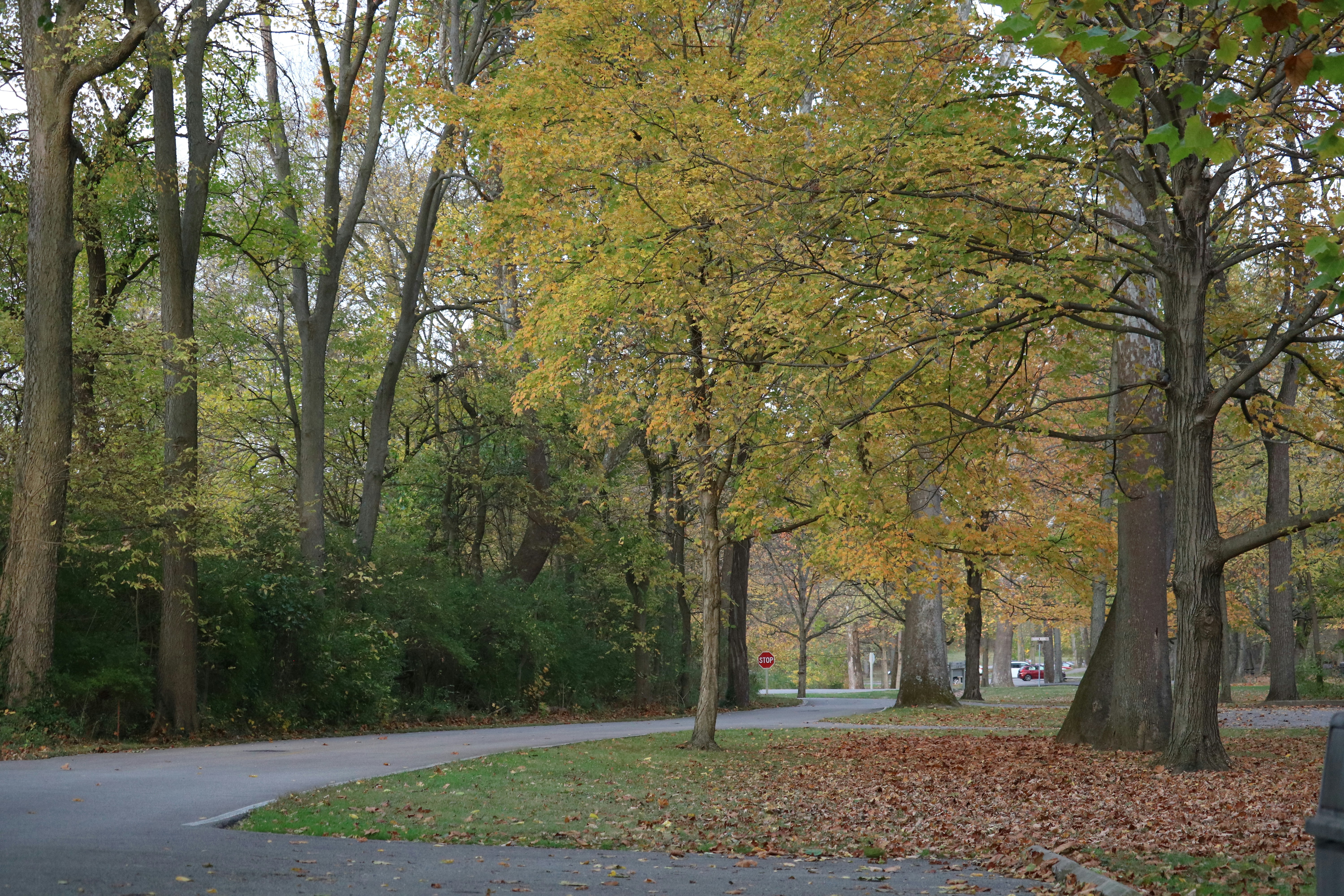 Shaik Imran (@imranmshaik) | Unsplash Photo Community