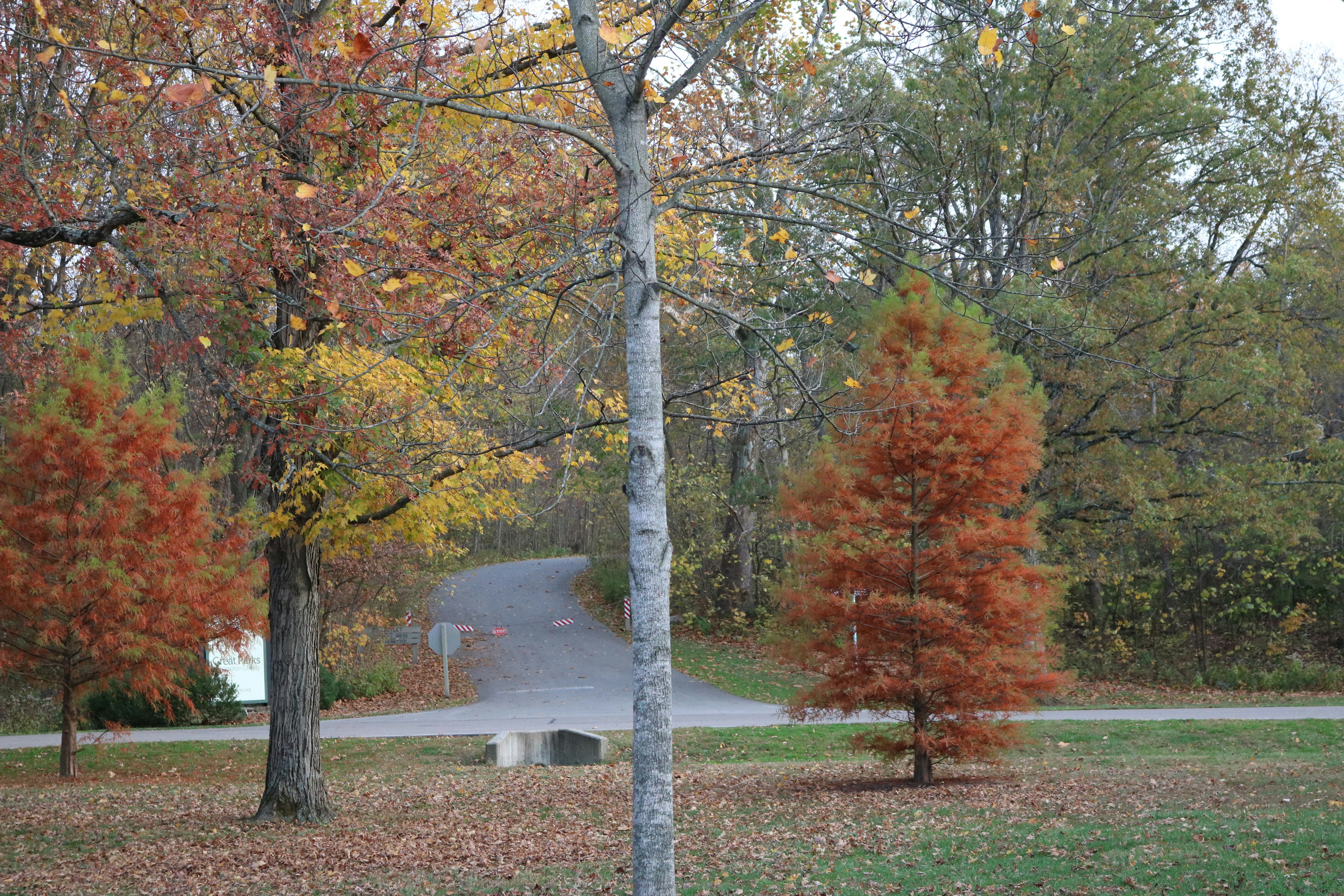 Shaik Imran (@imranmshaik) | Unsplash Photo Community