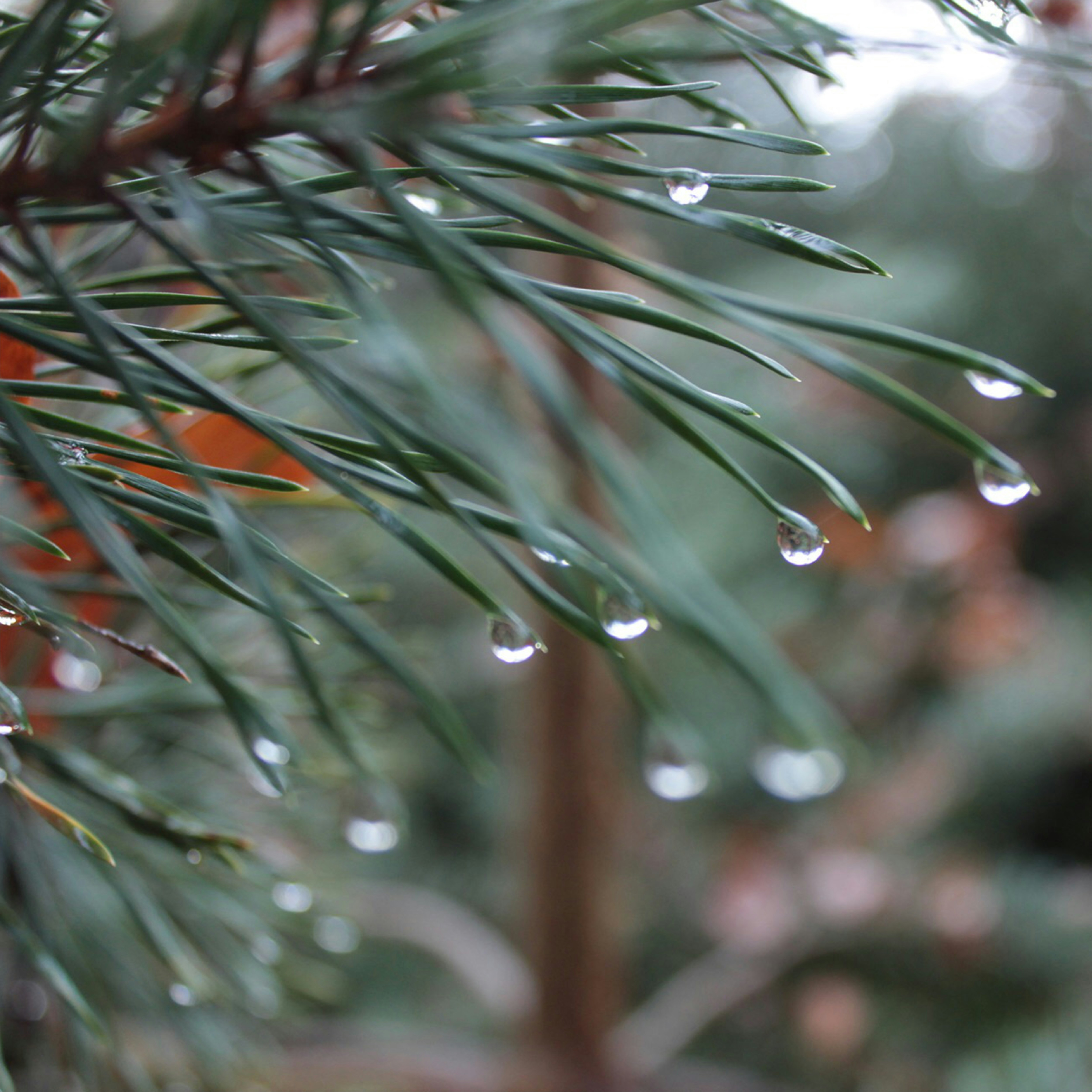 Hermann Ritter (@rihe) | Unsplash Photo Community