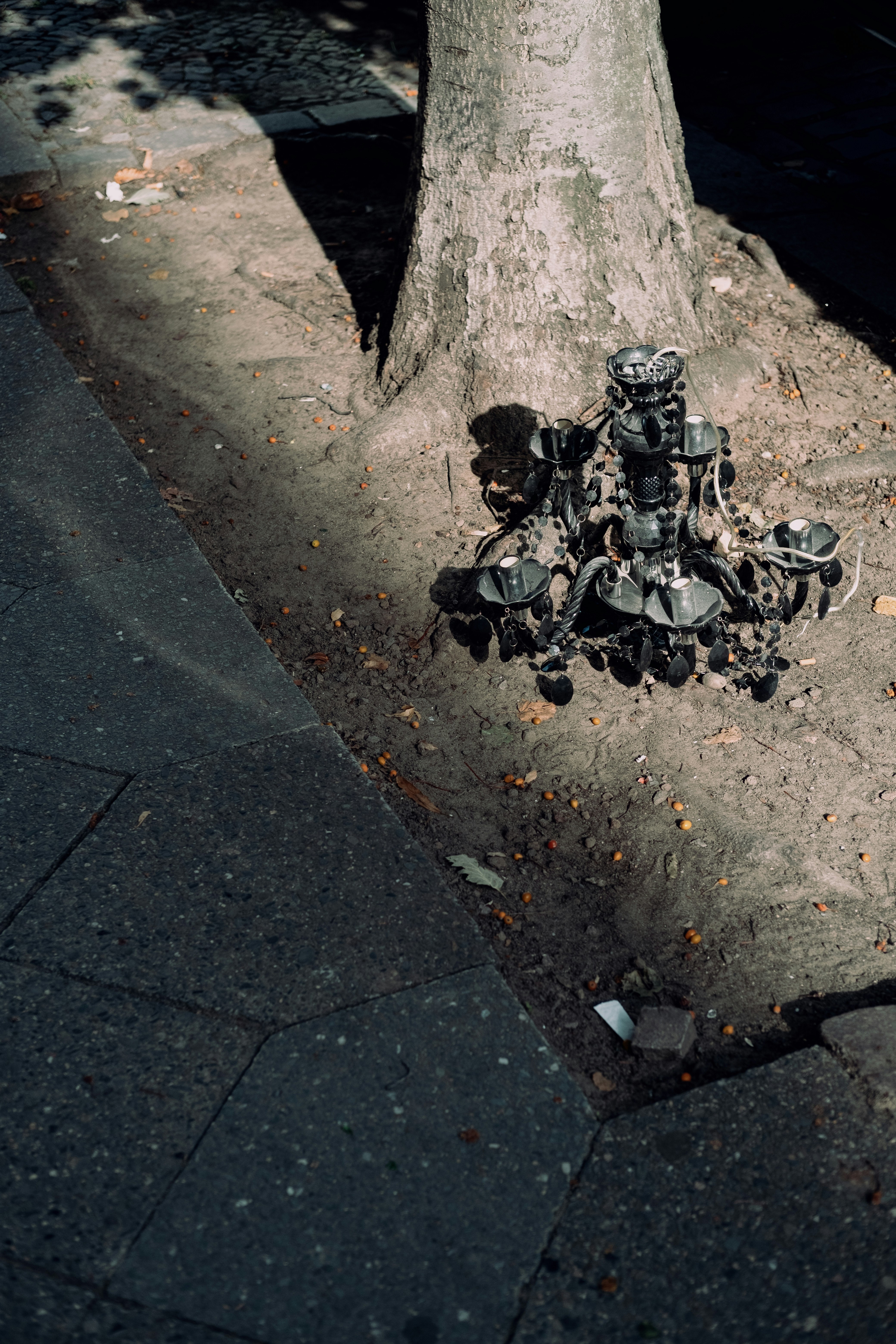 Urban Tree Vase: A Cluster of Vintage Lamps Anchored by a Tree Root