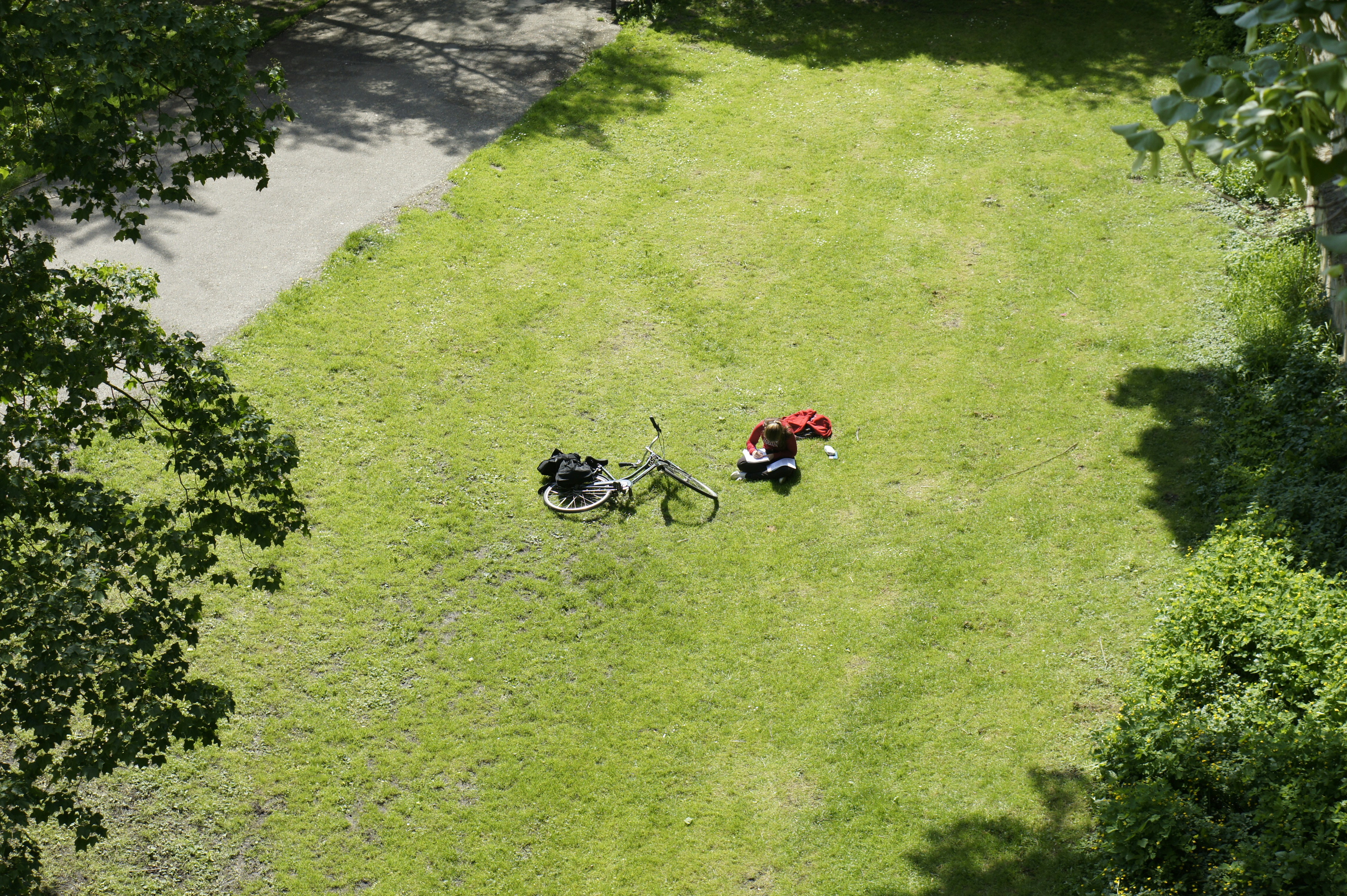 Bicycle resting beside a red jacket on a sunlit grassy area, surrounded by trees. A moment of tranquility captured in an urban park.