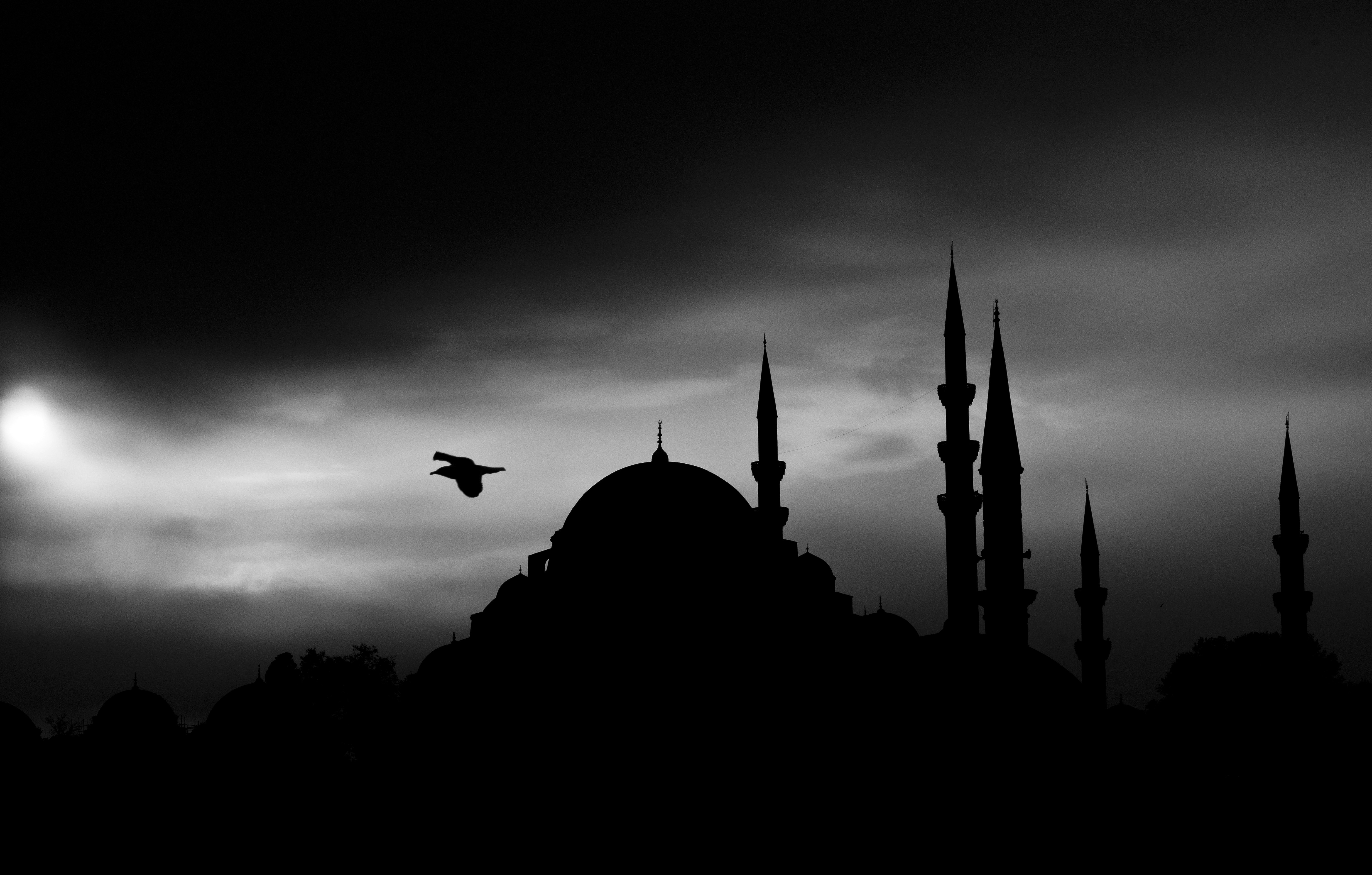Silhouette of a mosque with towering minarets and a bird flying against a dramatic evening sky.