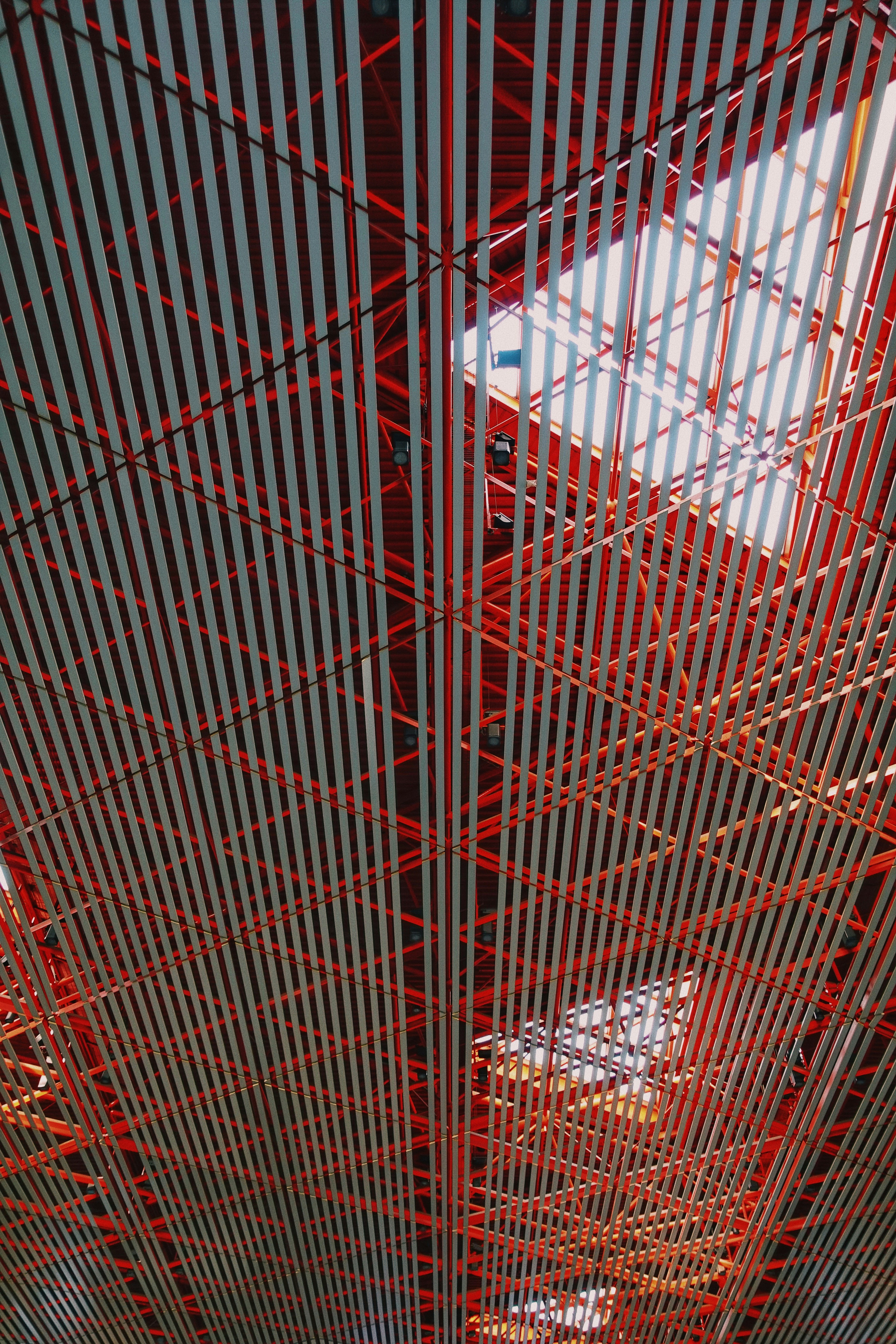 Crisscrossed Crimson Lattice Over a Stainless Interior