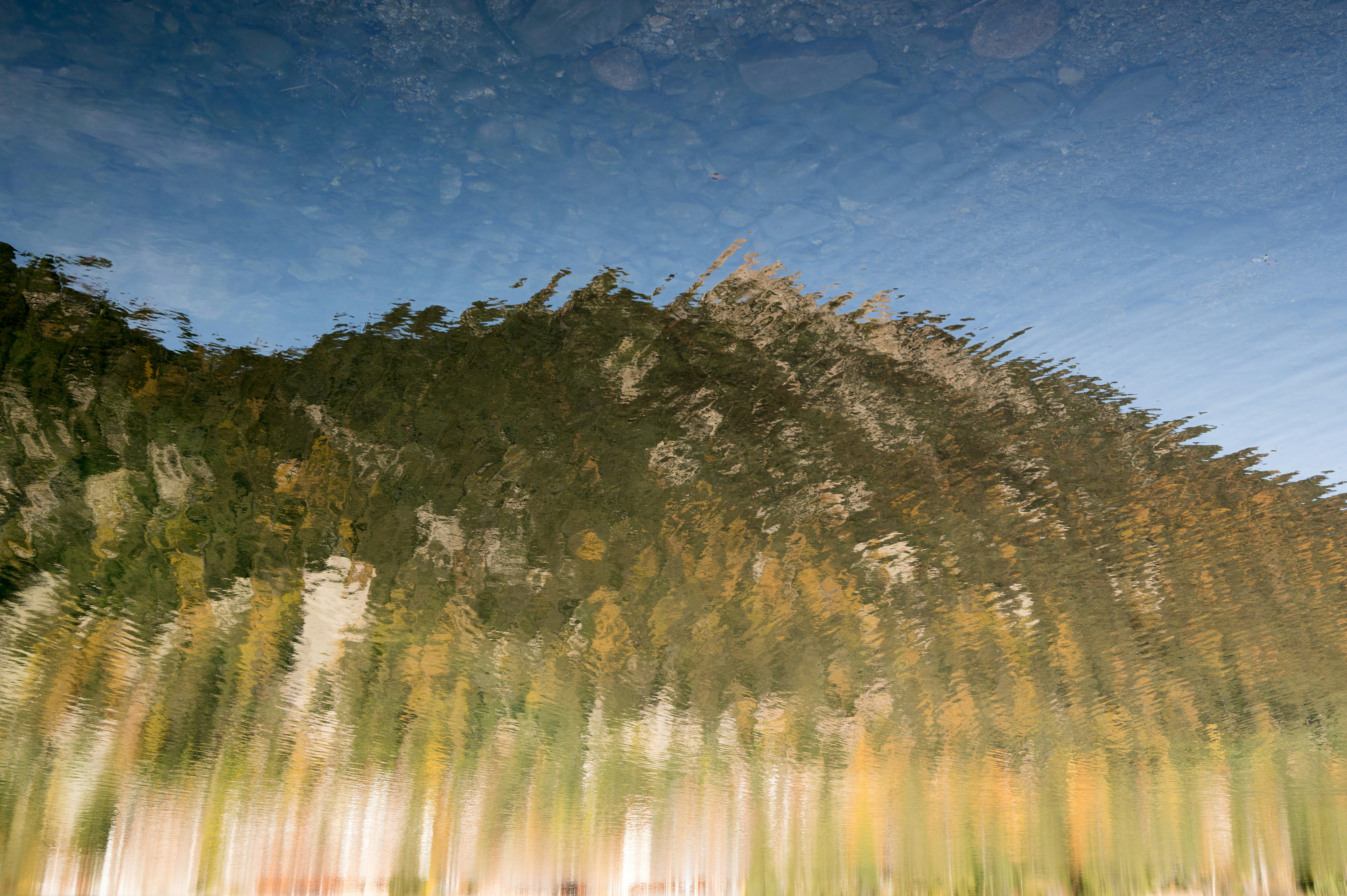 Inverted Pictures | Download Free Images on Unsplash