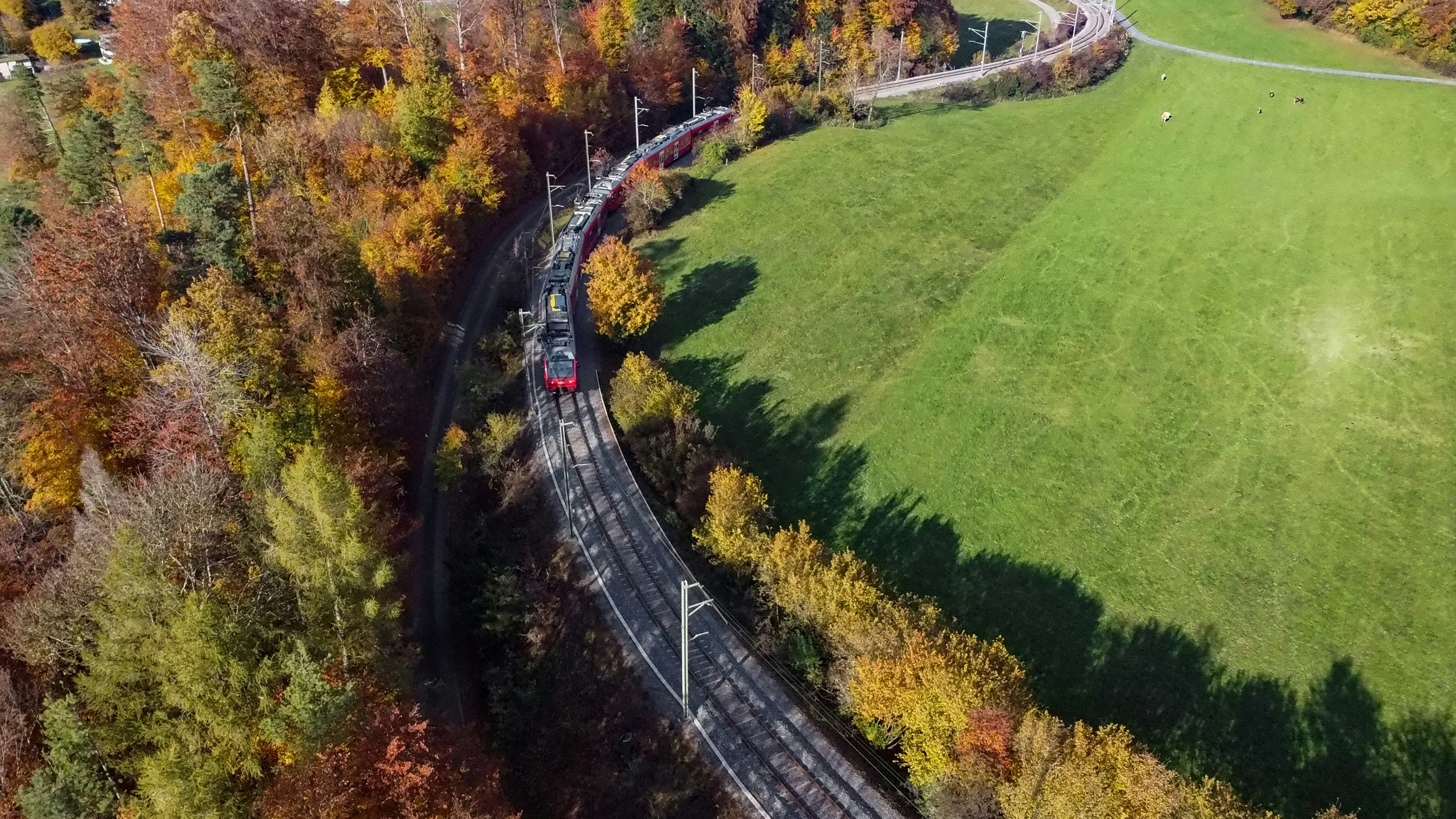 Crimson Car on a Sinuous Autumn Road Through Patchwork Forest