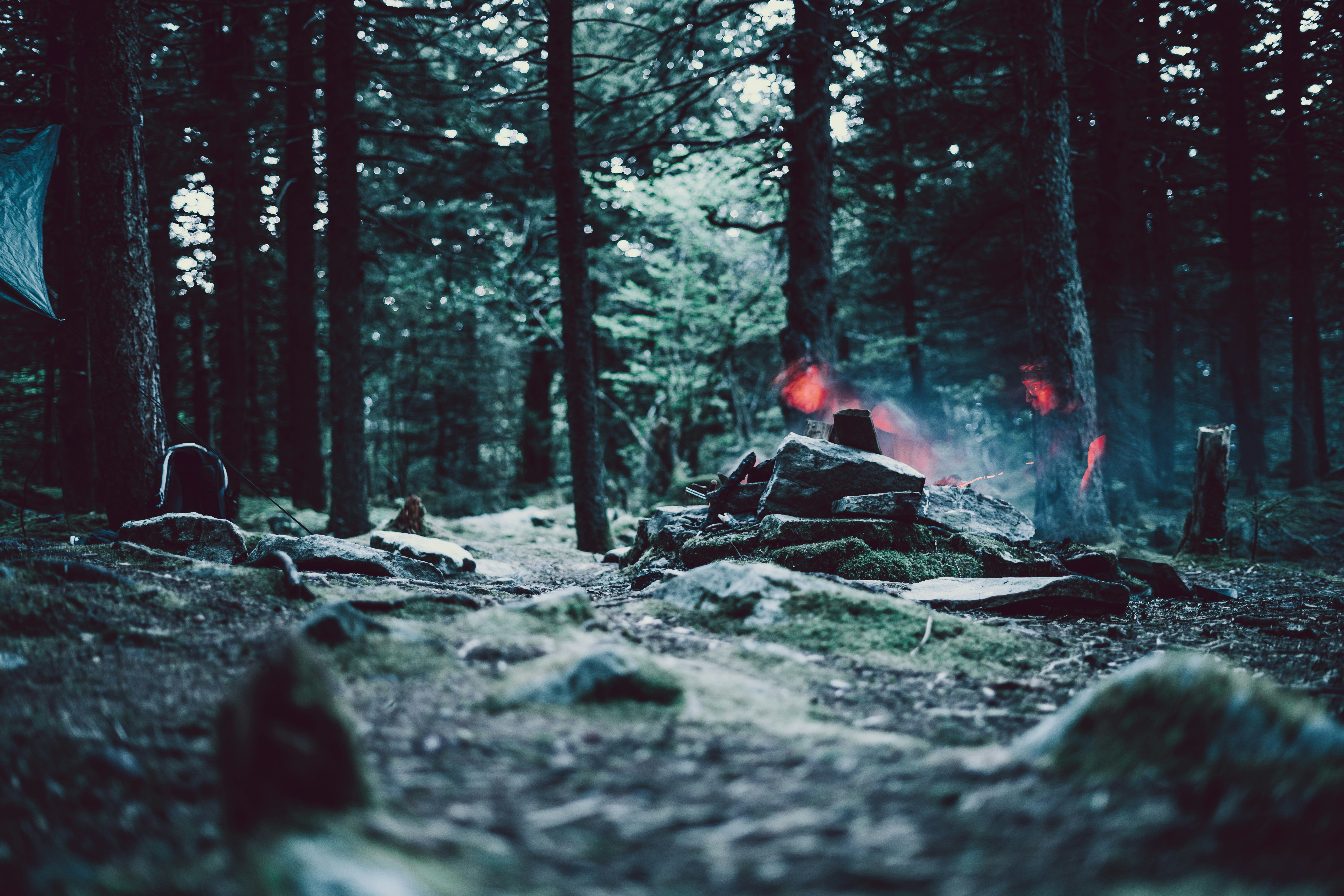man in black jacket sitting on ground surrounded by trees during daytime