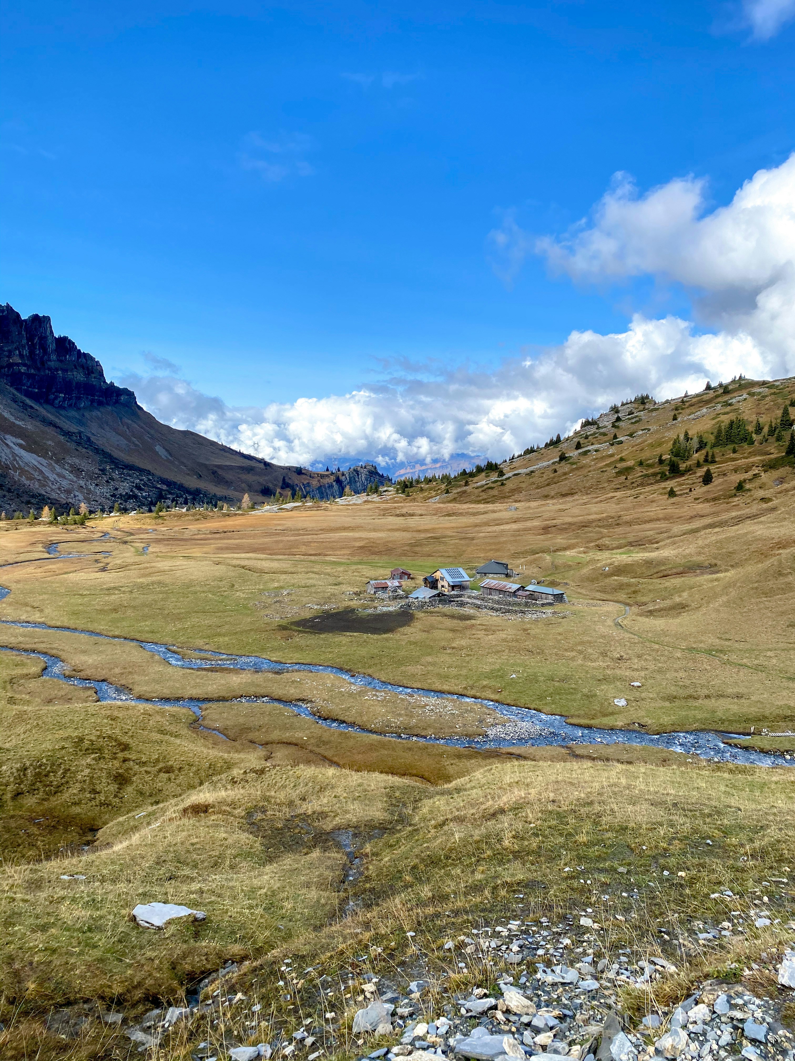 Alpine Meadowstead: A Quiet Farm Cluster Framed by Hills and a Winding Creek