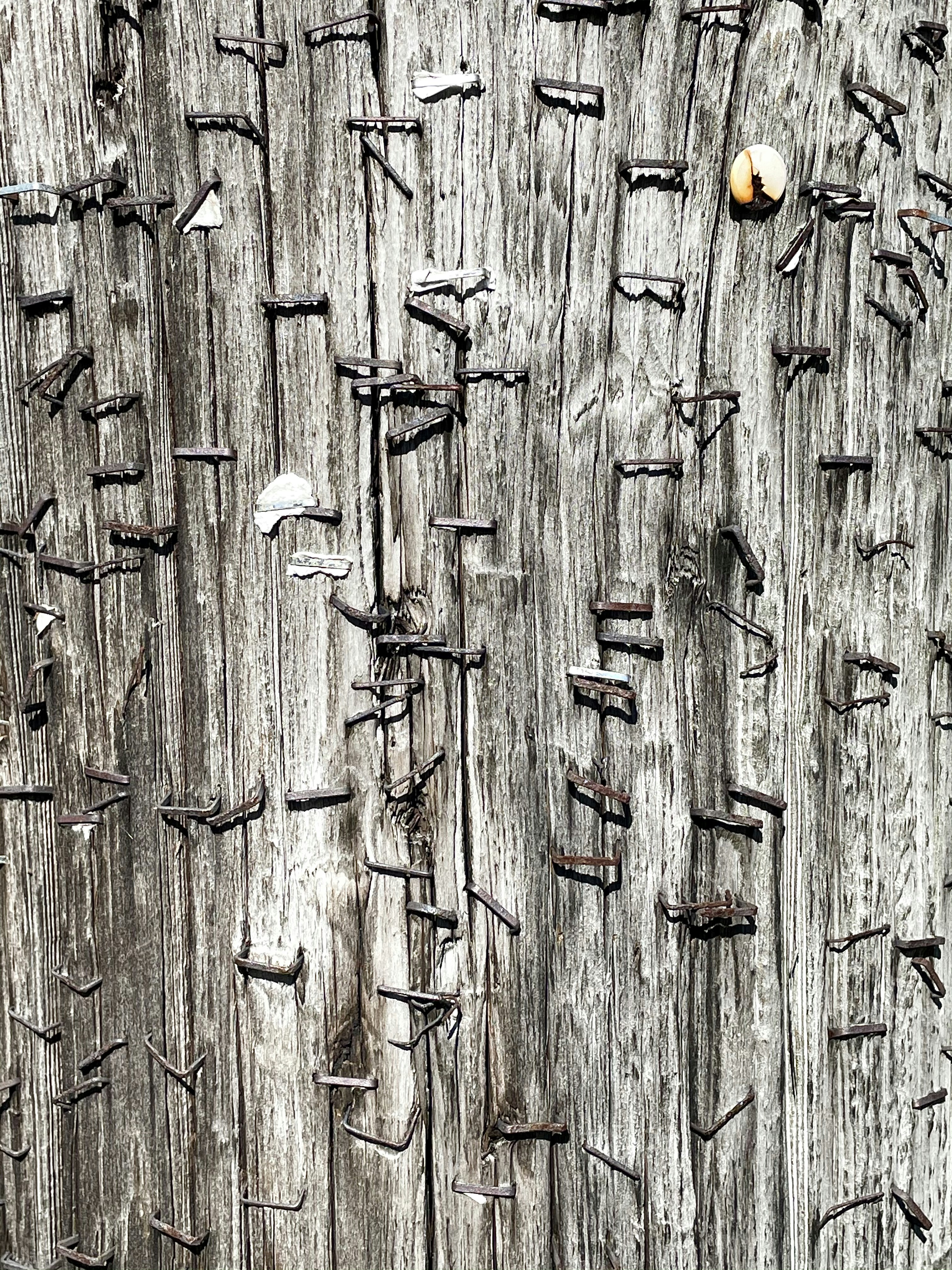 Jamie Morrison (@jamie_morrison) | Unsplash Photo Community