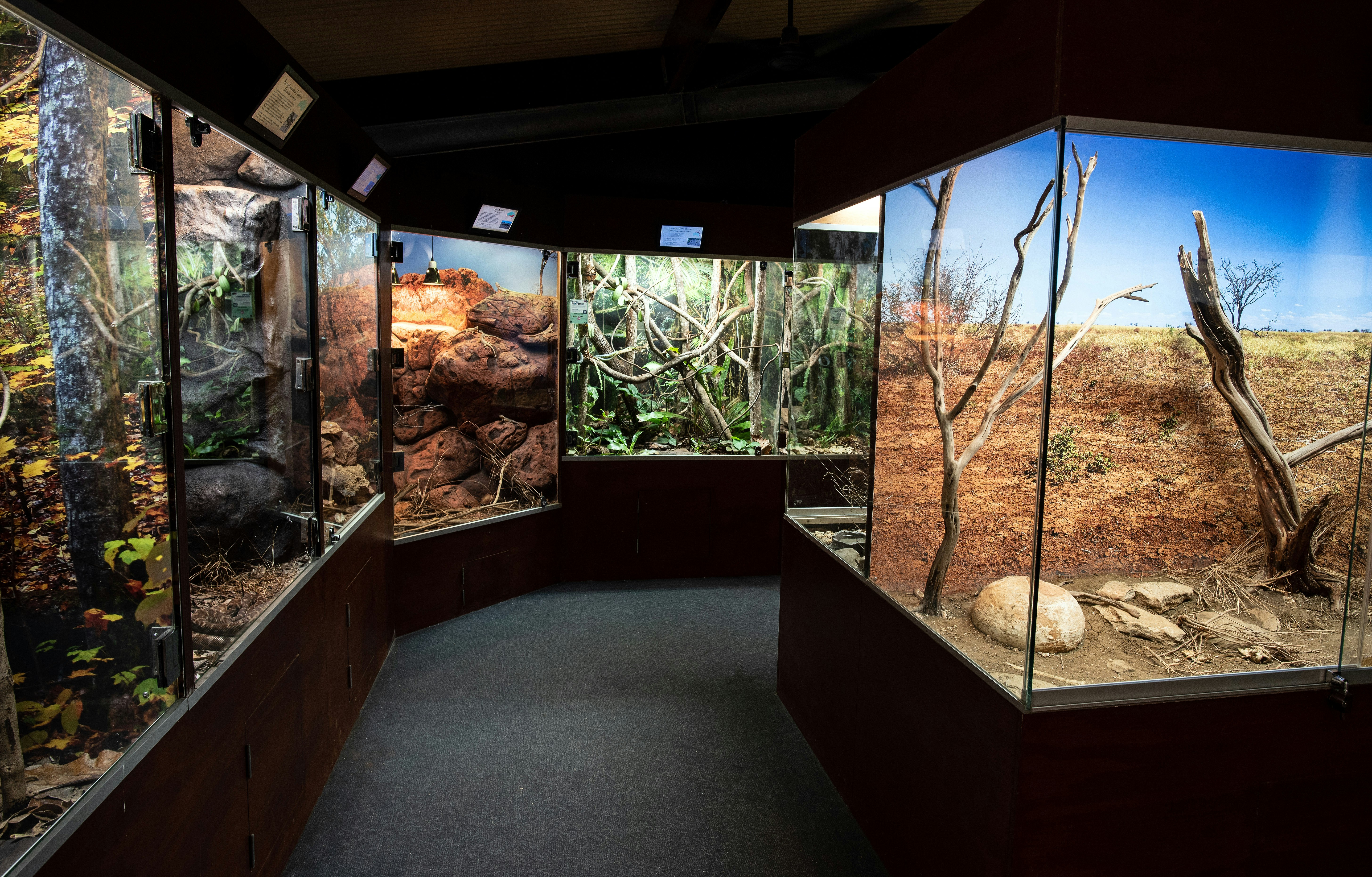 Interior view of a museum exhibit featuring various ecosystems displayed in glass cases, highlighting natural elements and habitats.