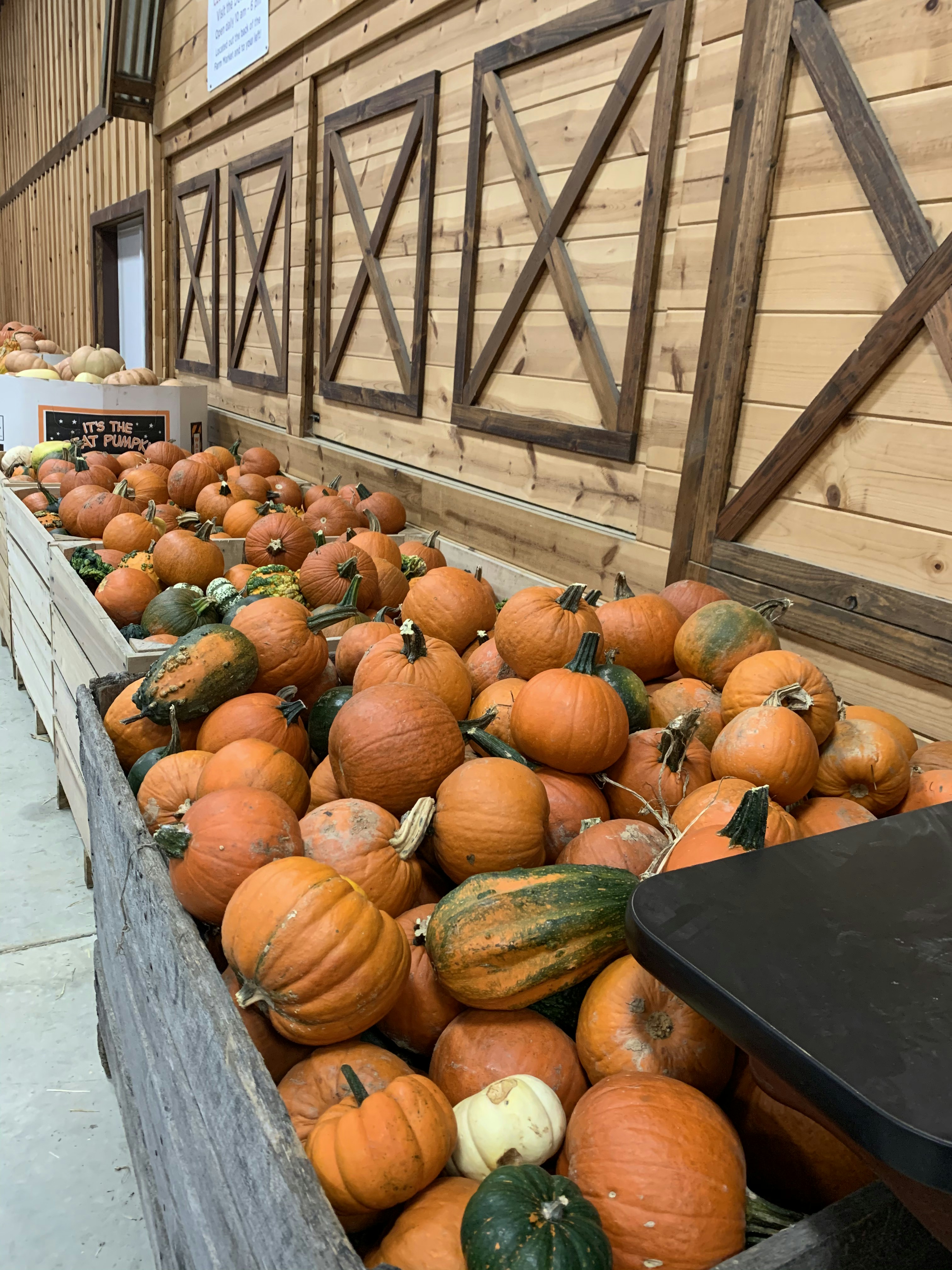 Harvest Glow: Pumpkins Piled Along a Weathered Barn Stand