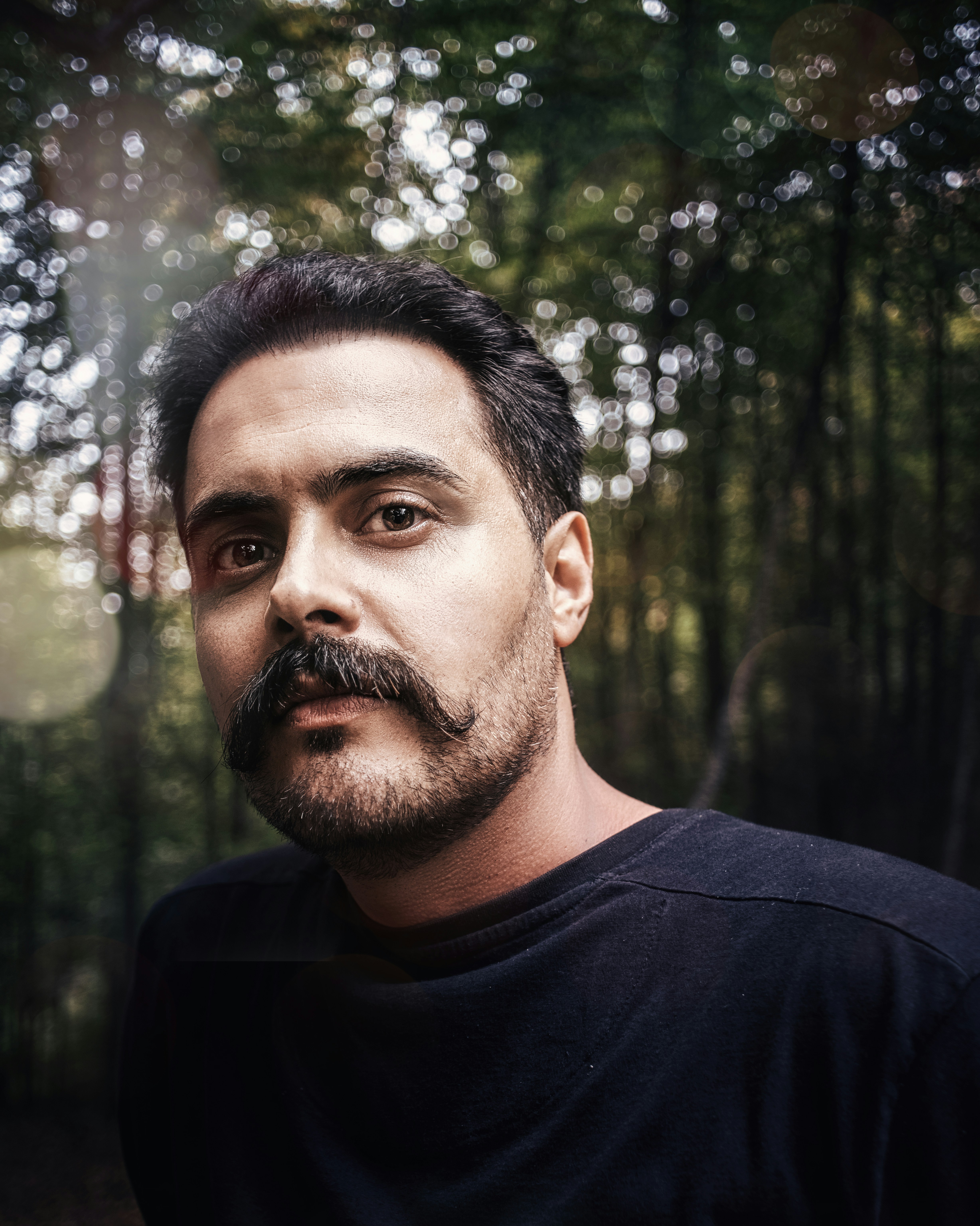 Between Light and Leaf: A Portrait in Quiet Forest