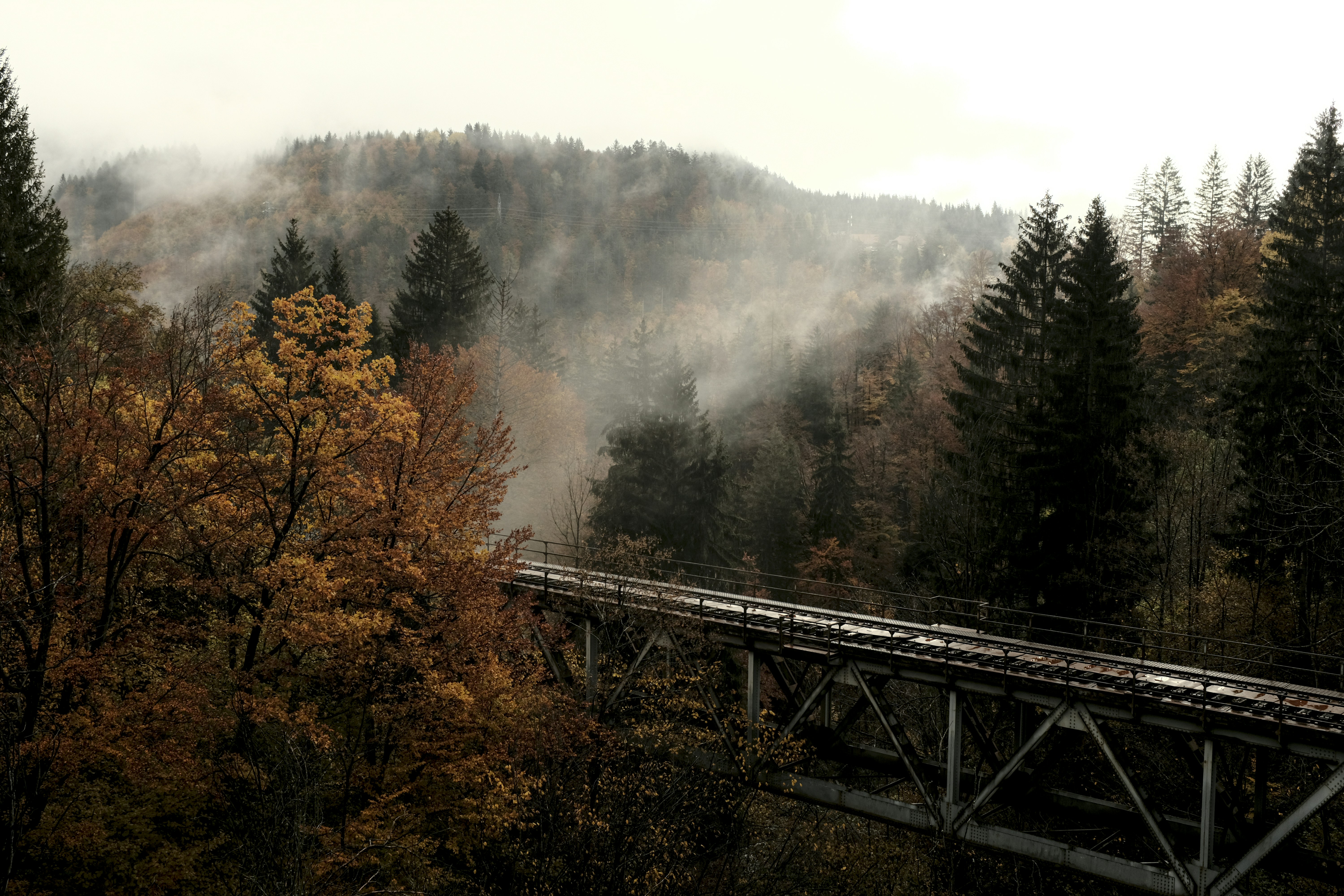 Fog envelops a rustic bridge surrounded by vibrant autumn foliage, creating a serene and moody landscape.