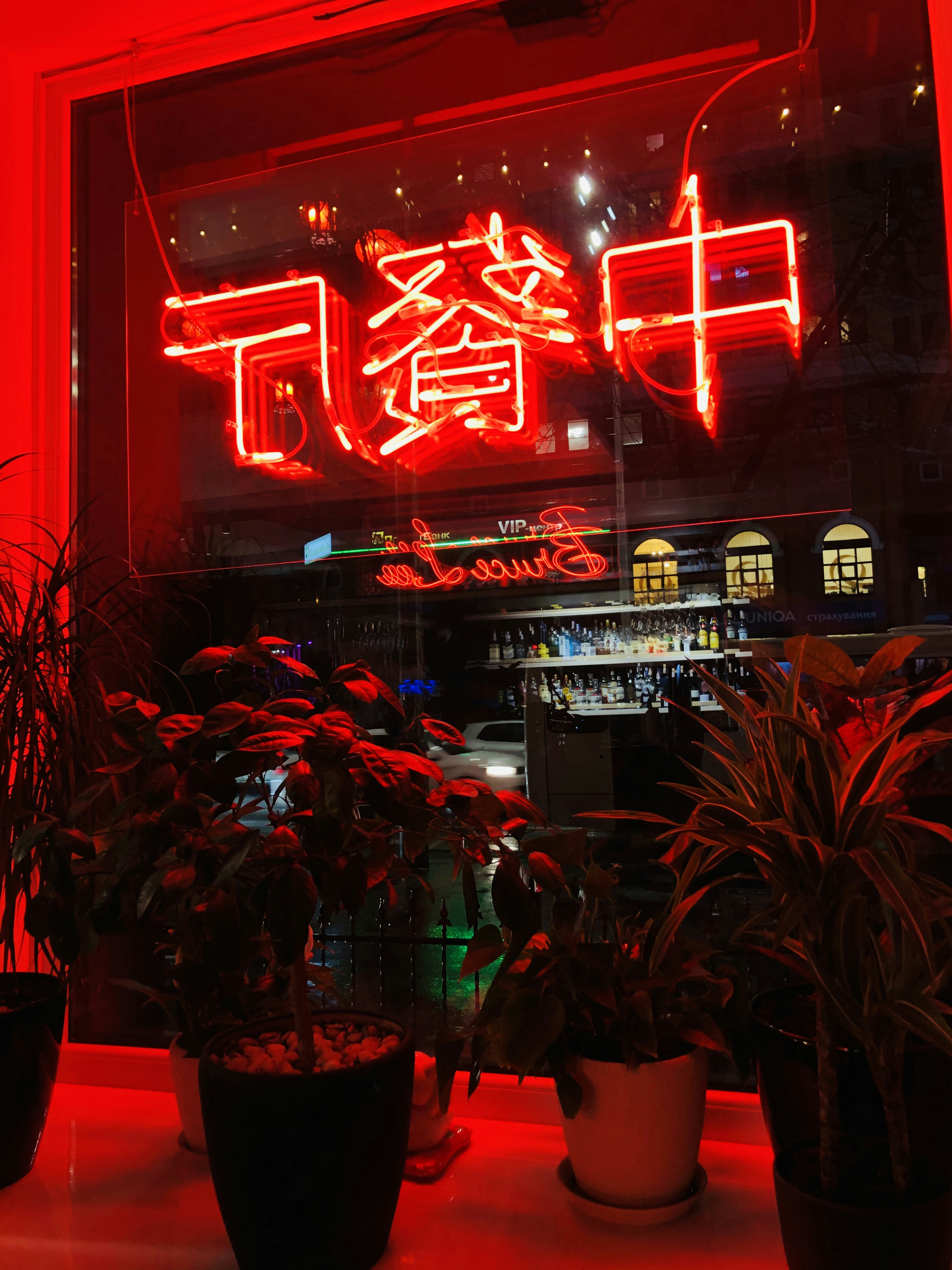 Bright red neon sign illuminating a window with reflections of city lights and plants in the foreground.
