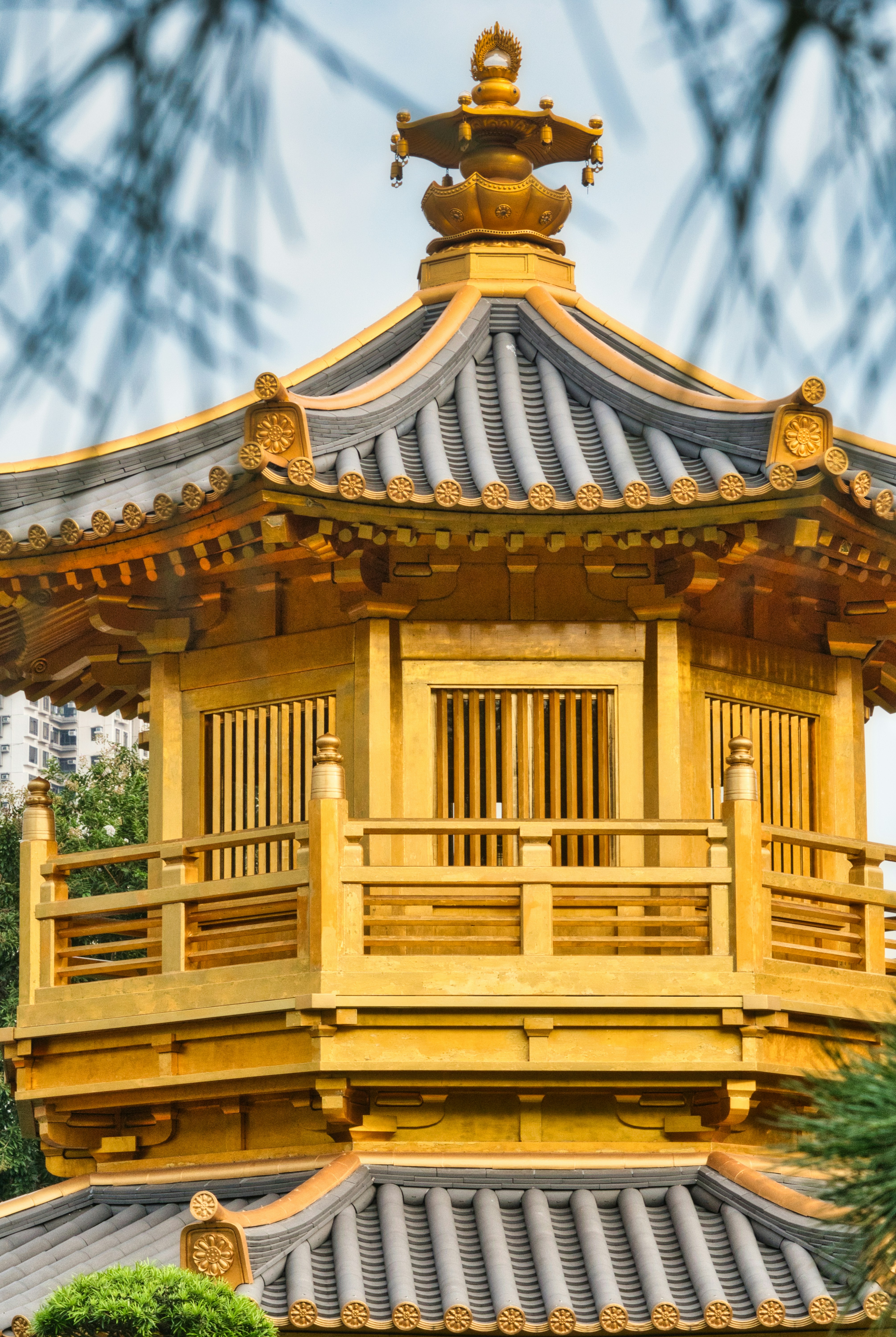 Golden Pagoda in Bloom: A Courtyard of Lanterns and Wood