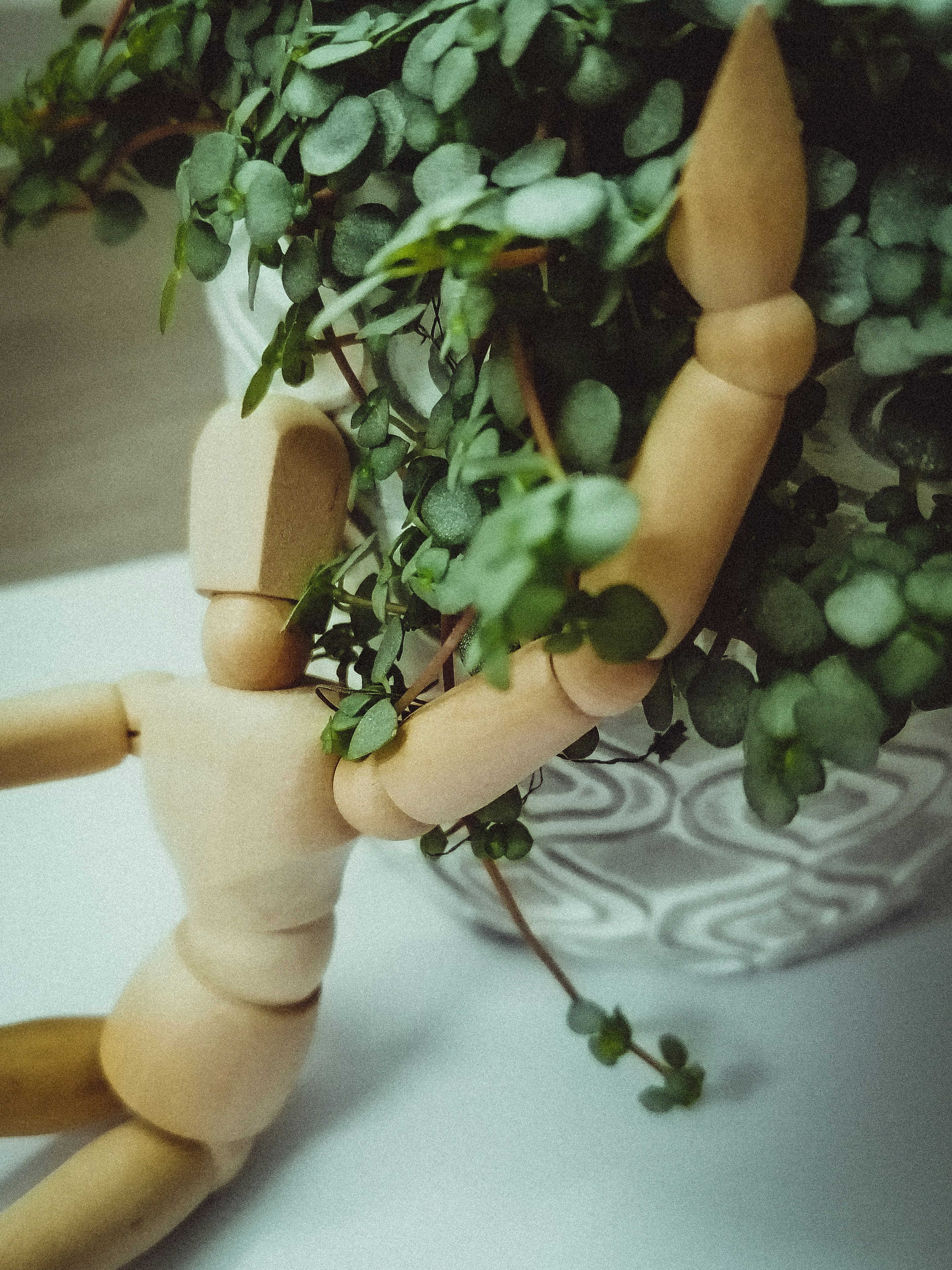 A wooden mannequin hand threads through a leafy plant in a decorative pot. The shot highlights texture and the contrast between warm wood and soft green foliage.