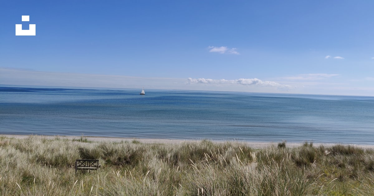 Green Grass Near Body Of Water During Daytime Photo Free Sea Image On