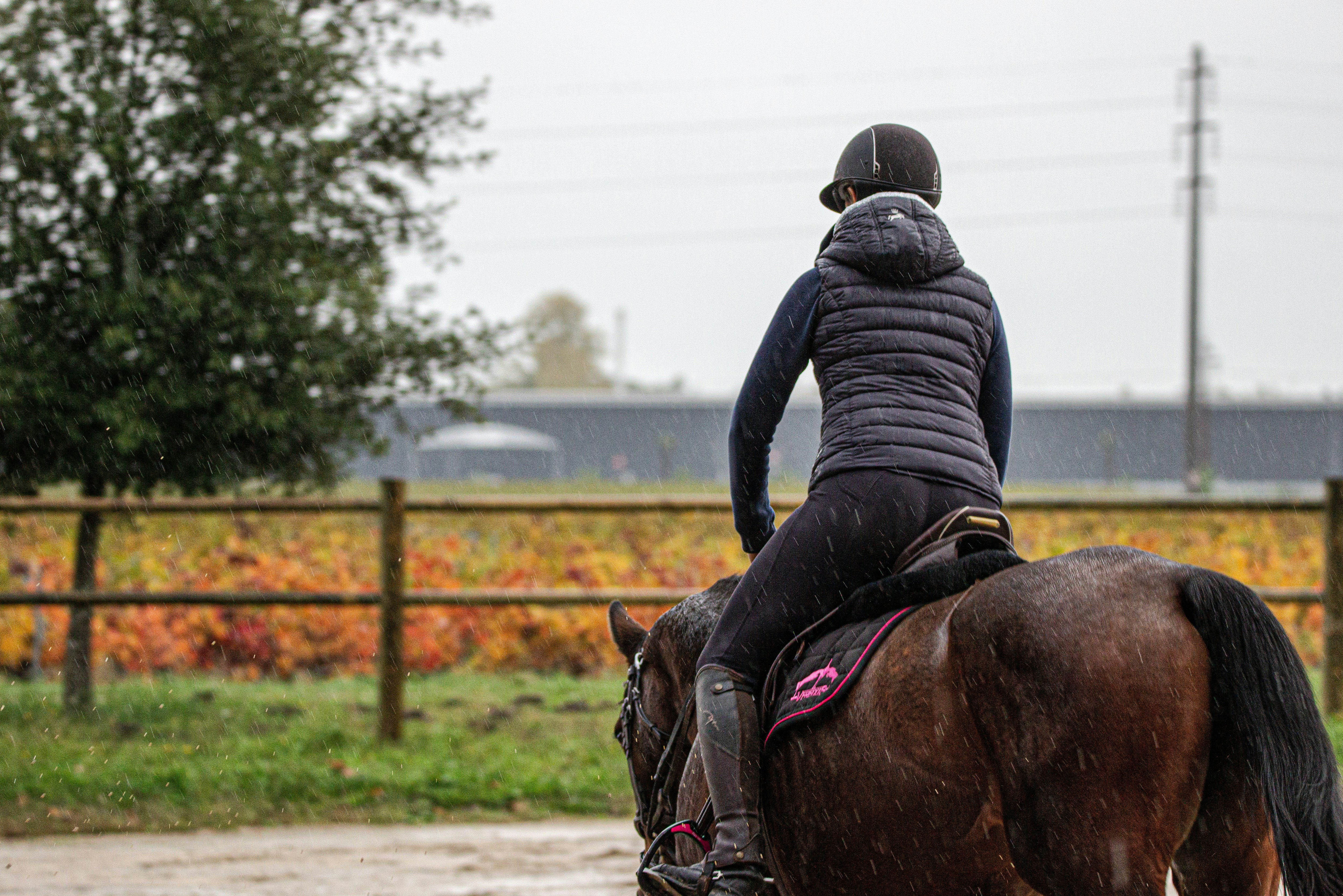 Rider on a horse, viewed from behind, navigating a rain-soaked path with vibrant autumn foliage in the background.