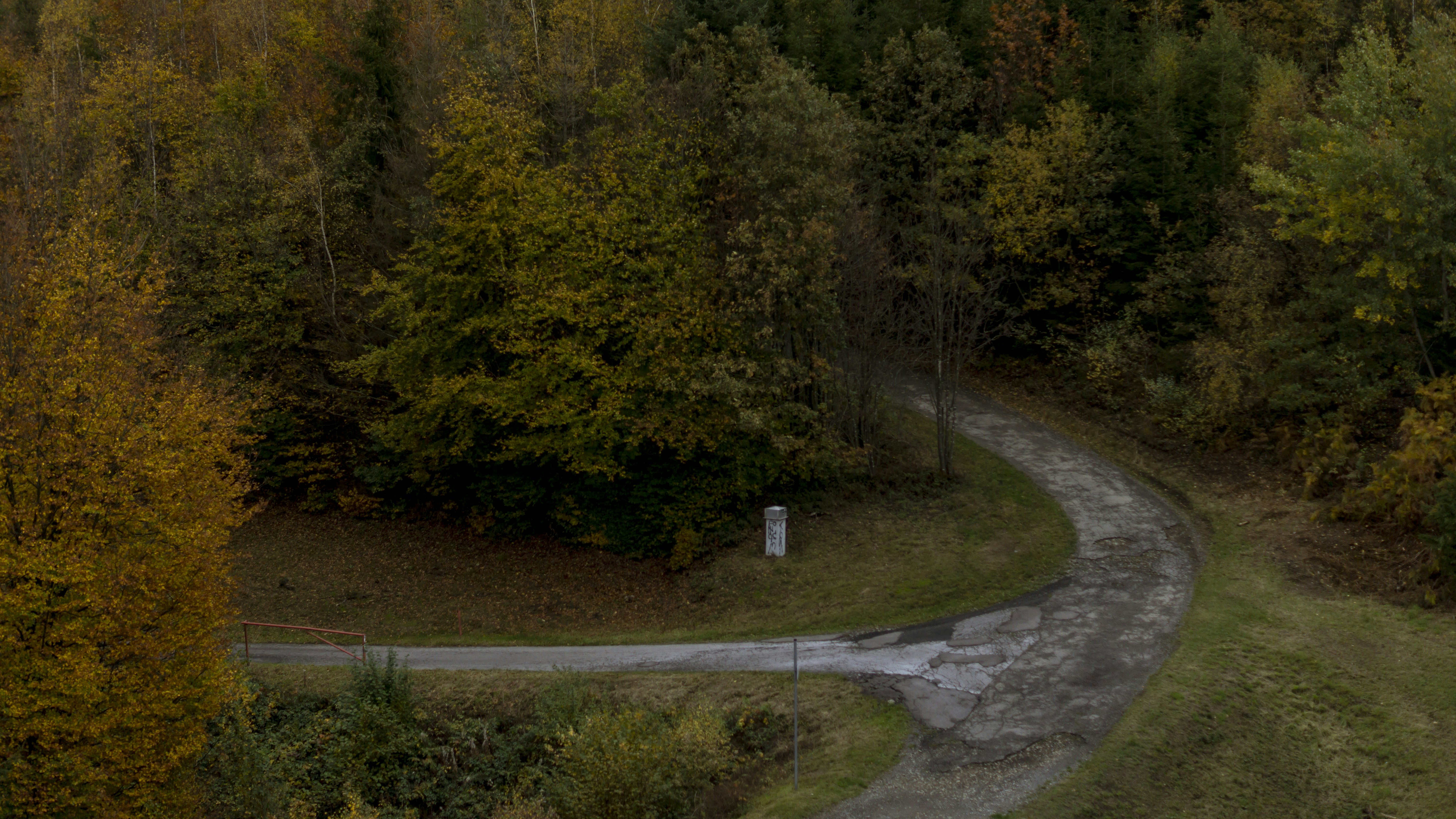 Autumn Road Wently Winding Through a Quiet Preserve