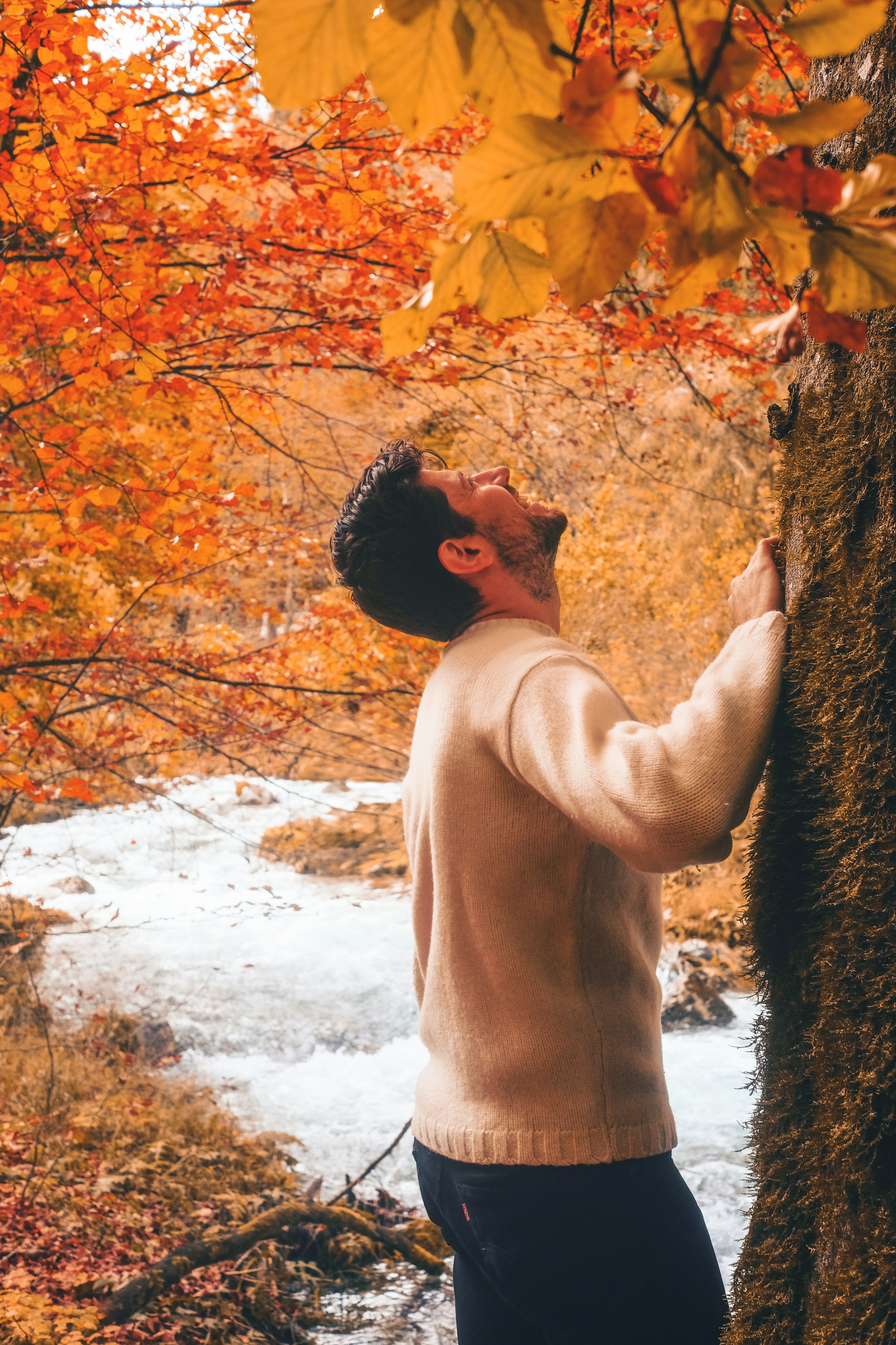 Autumn Embrace: climber against a maple-fire backdrop