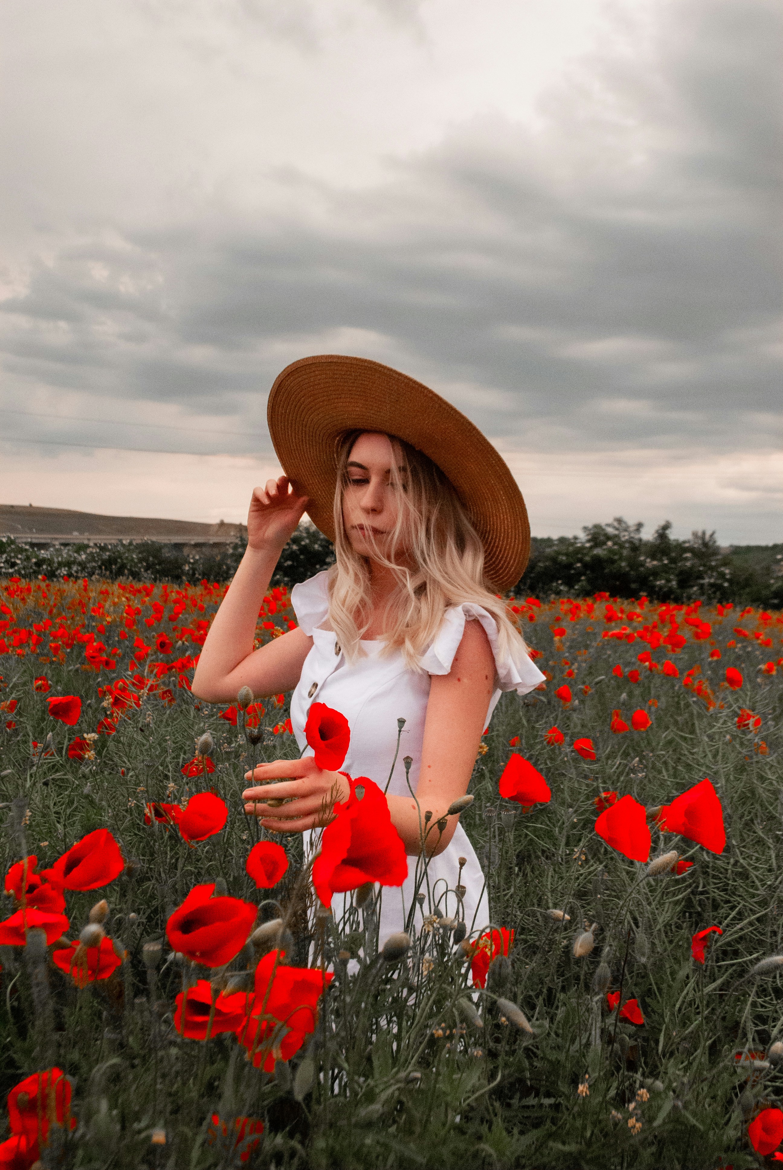 Sunlit Field of Red Poppies with a Straw-Hatted Portrait