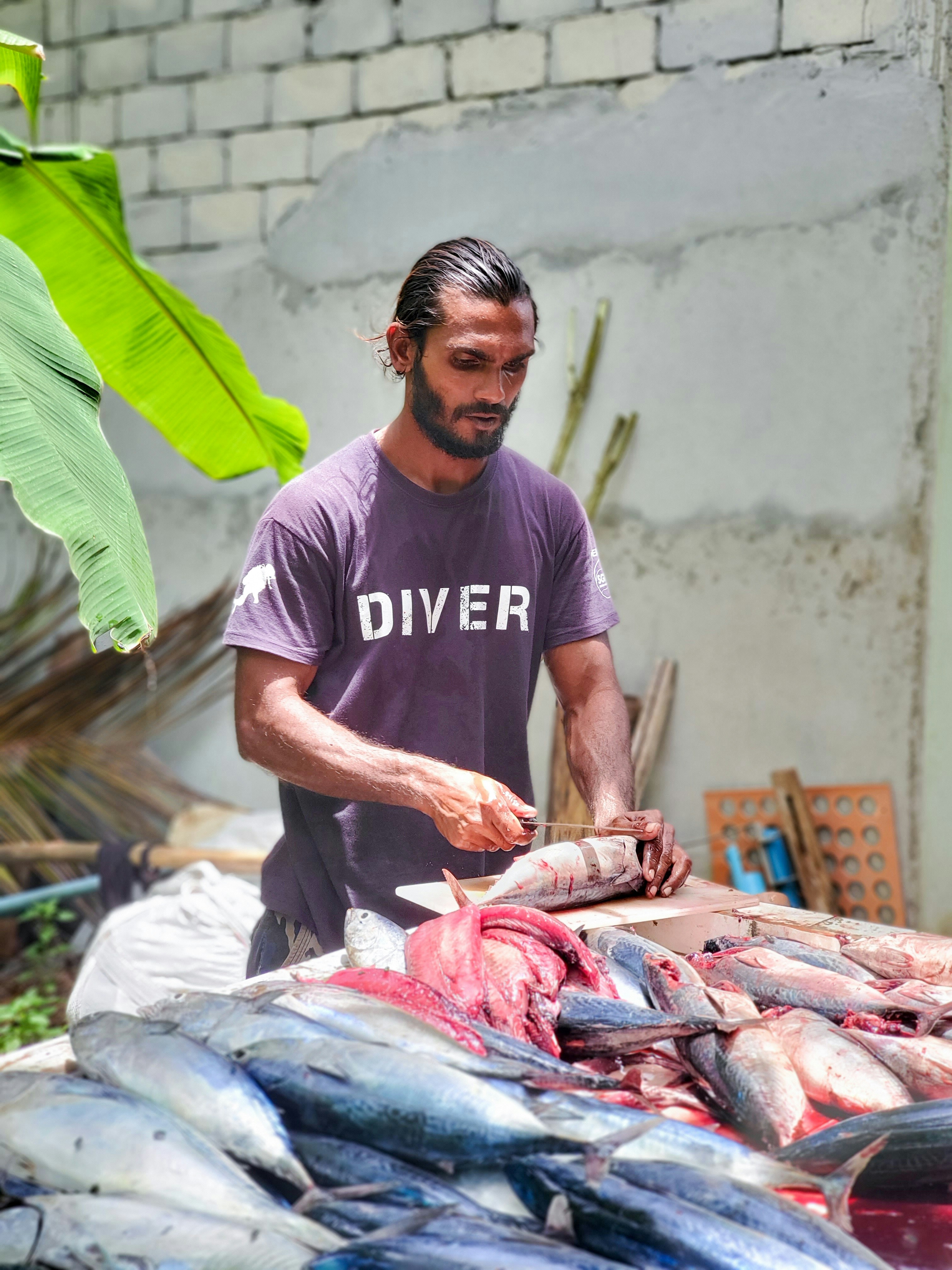 Butcher of the Tide: A fisherman's craft in a heap of fresh catch