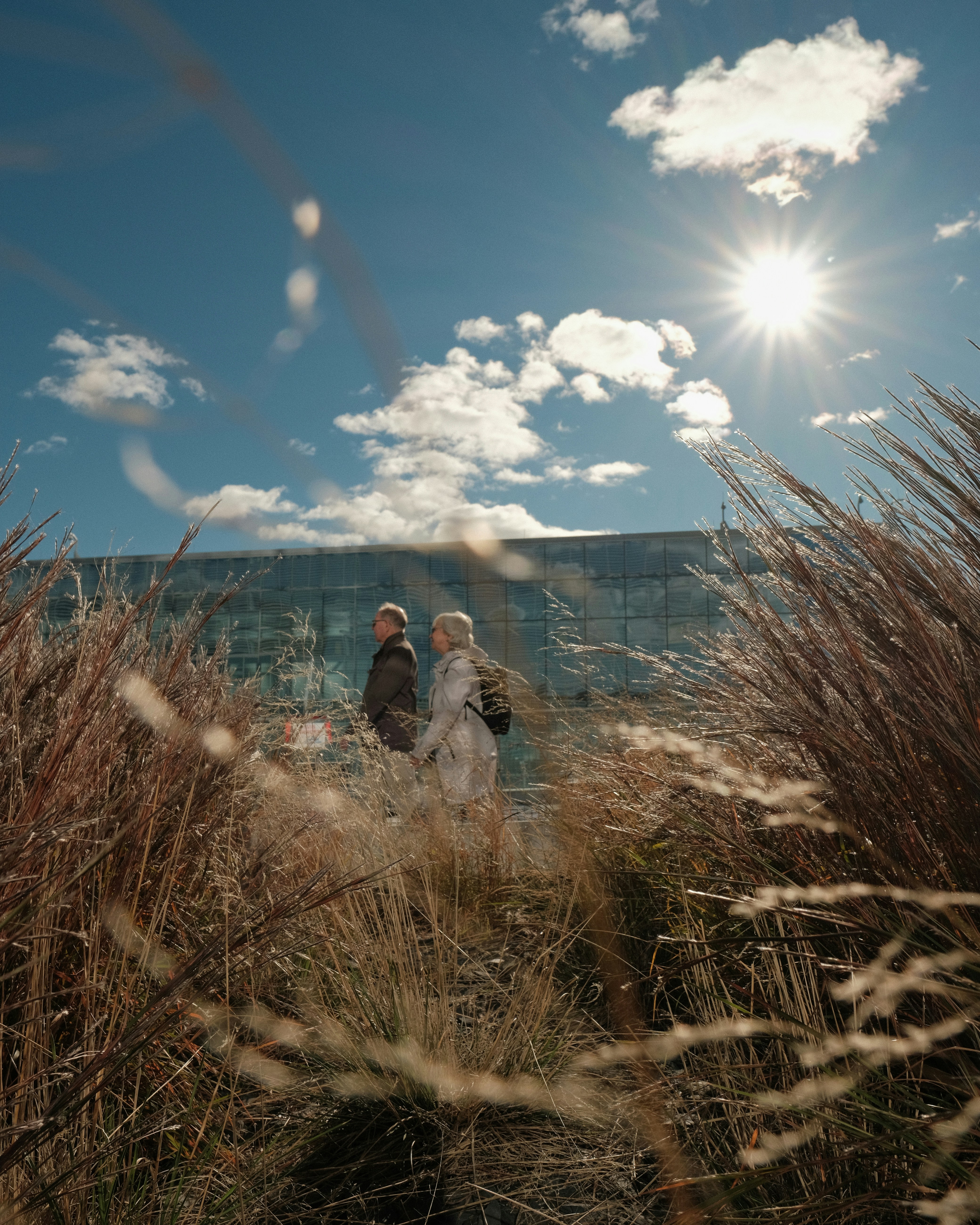 Tandem Stroll Through a Sunlit Reed Corridor by a Glass-Walled Backdrop
