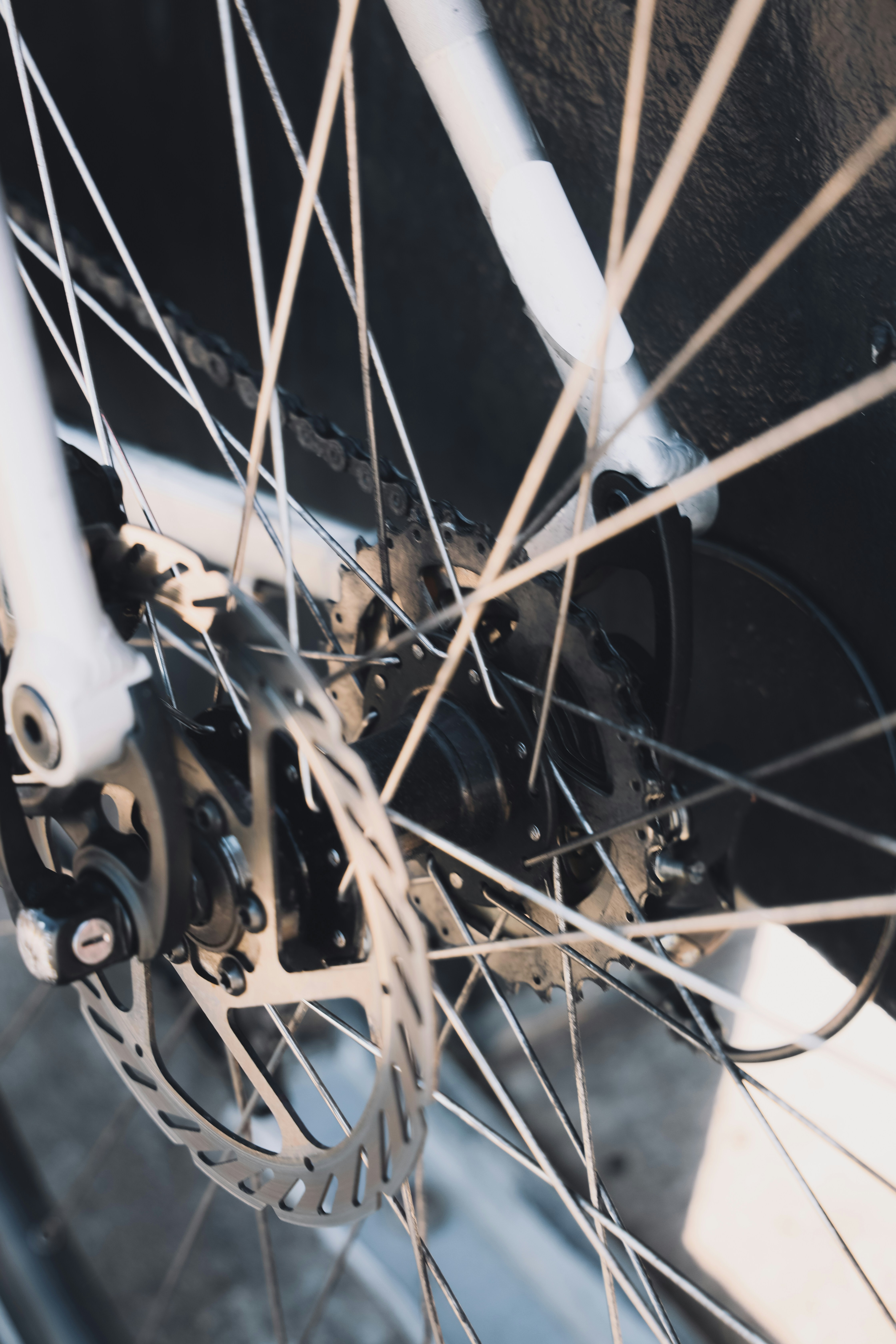 Detailed view of a bicycle's disc brake assembly, showcasing the intricate design of the rotor and spokes. The focus highlights the engineering behind efficient stopping power.