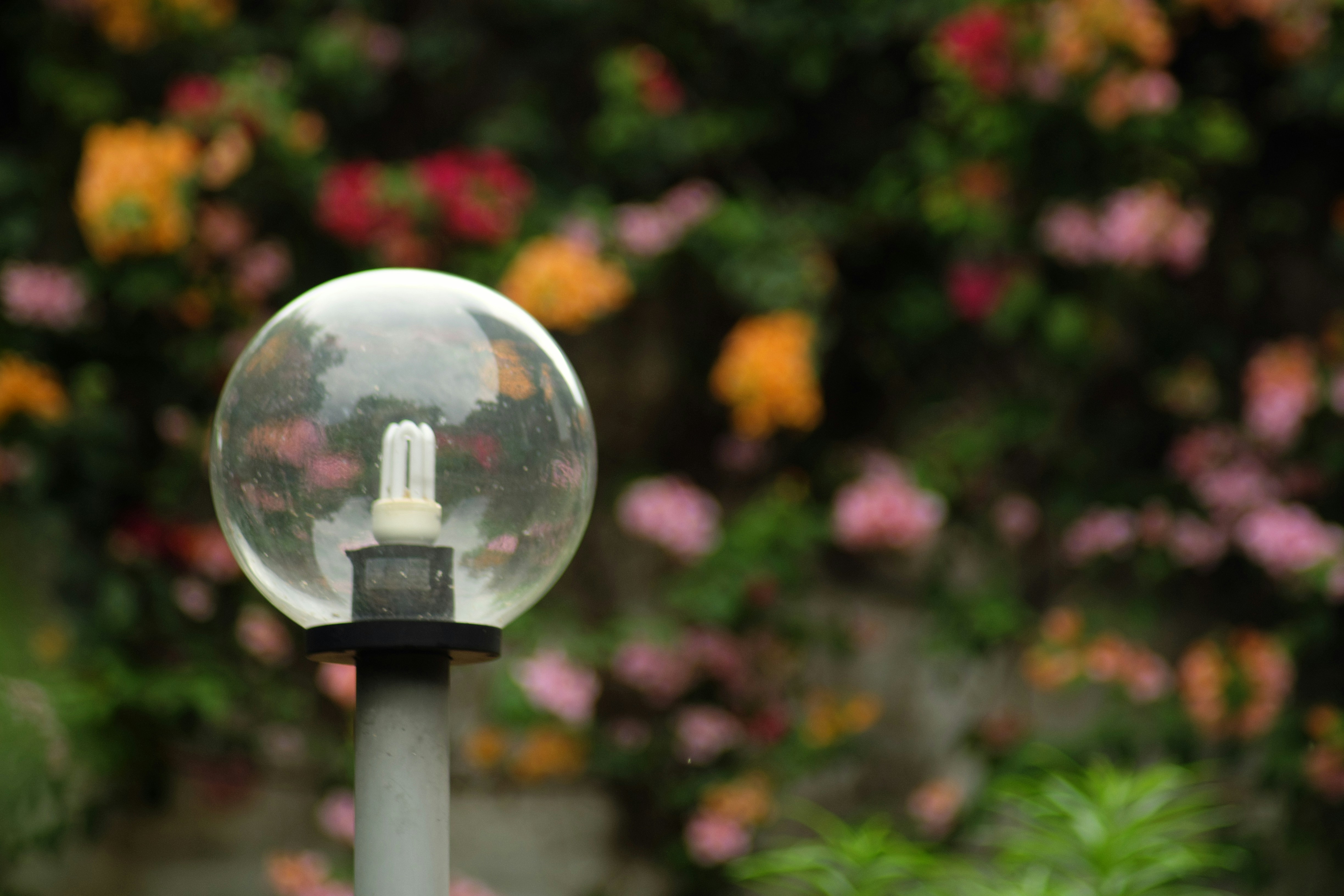 A glass-globe lamp perched on a pale post stands in front of a blurred garden of colorful flowers, emphasizing the lantern as the focal point in a shallow depth-of-field scene.