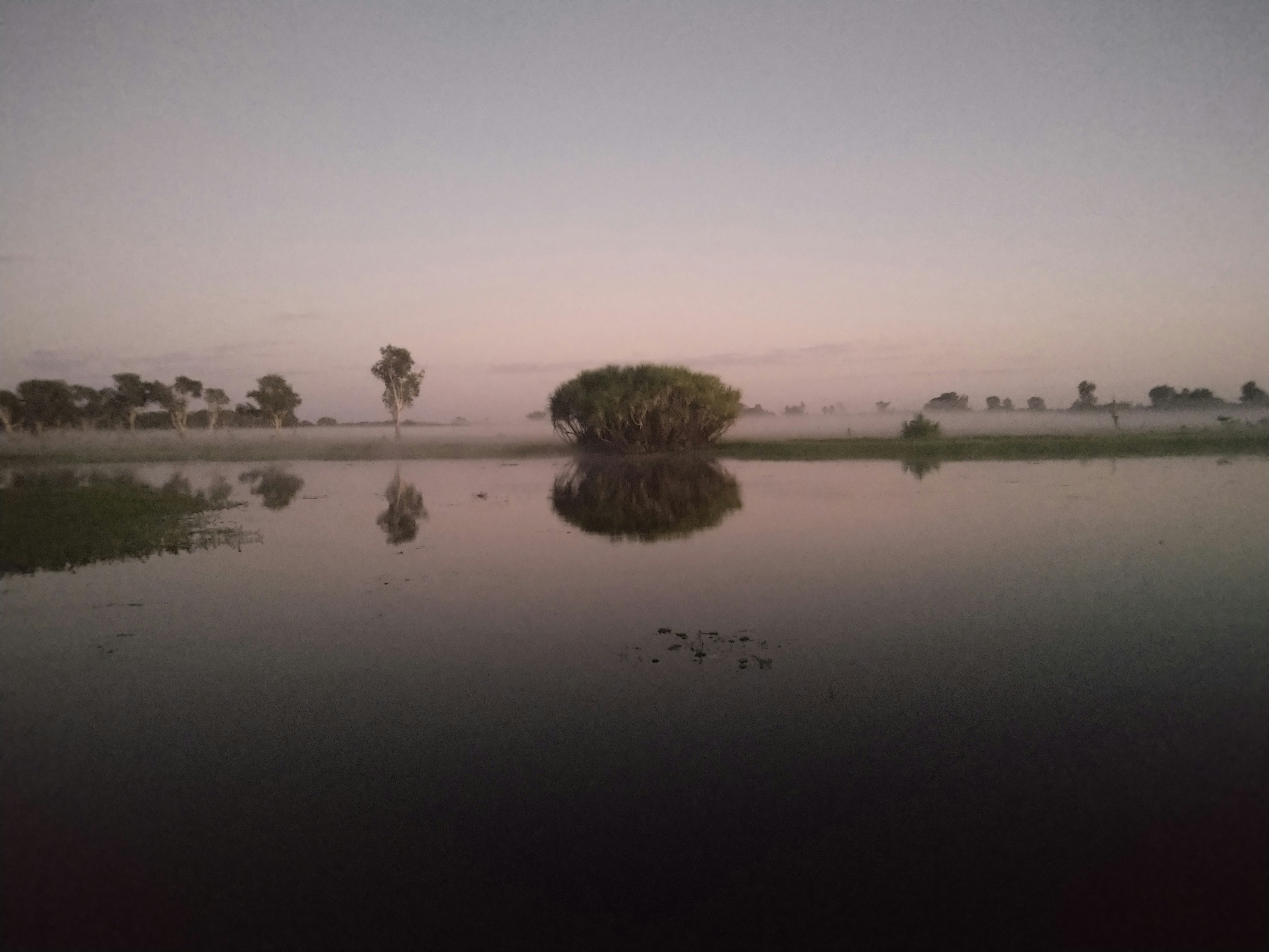 Soft dawn light over a tranquil marsh featuring a small rounded island with trees, perfectly mirrored in the still water.