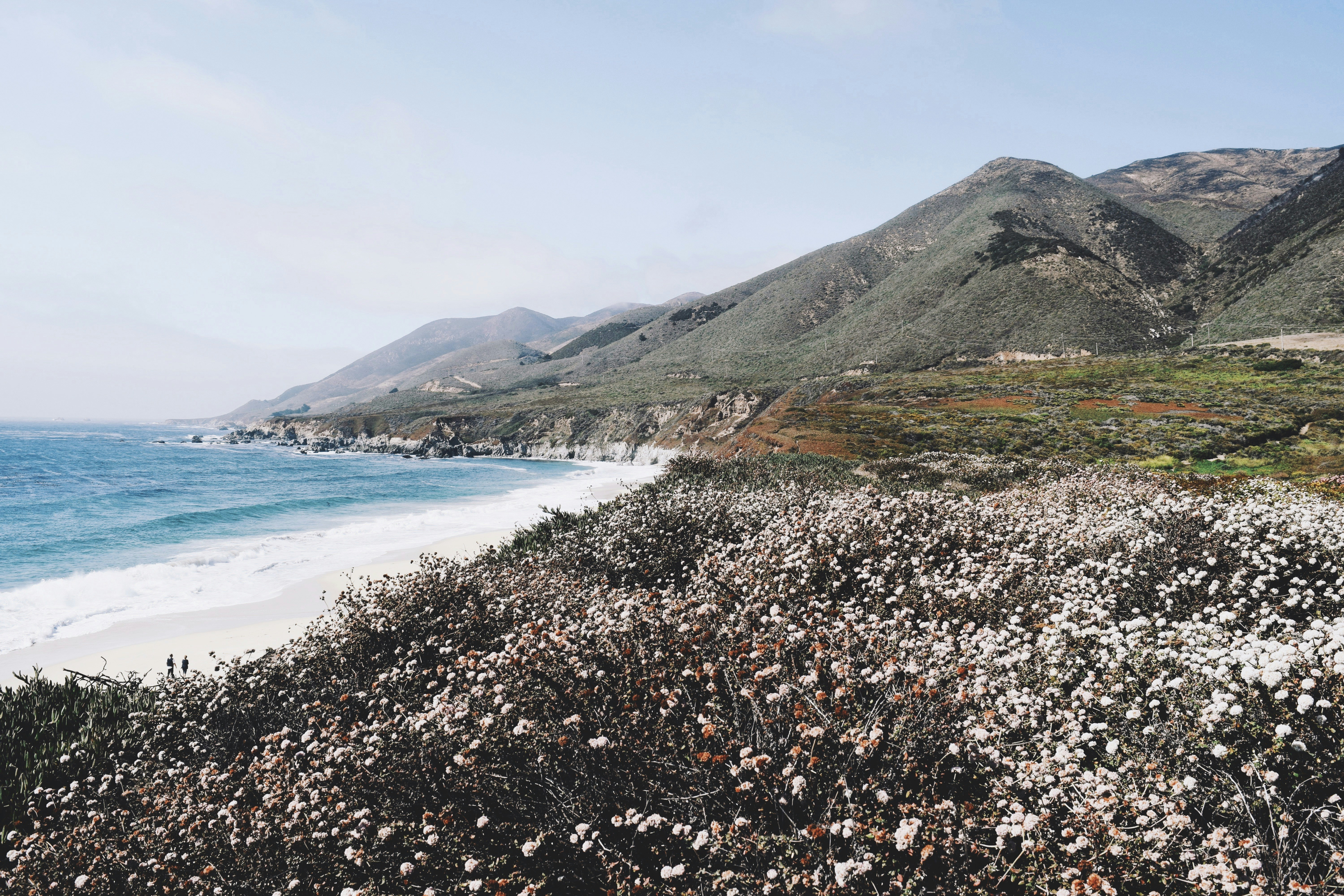 White Bloom Frontier: Coastline, Sea, and Rugged Hills