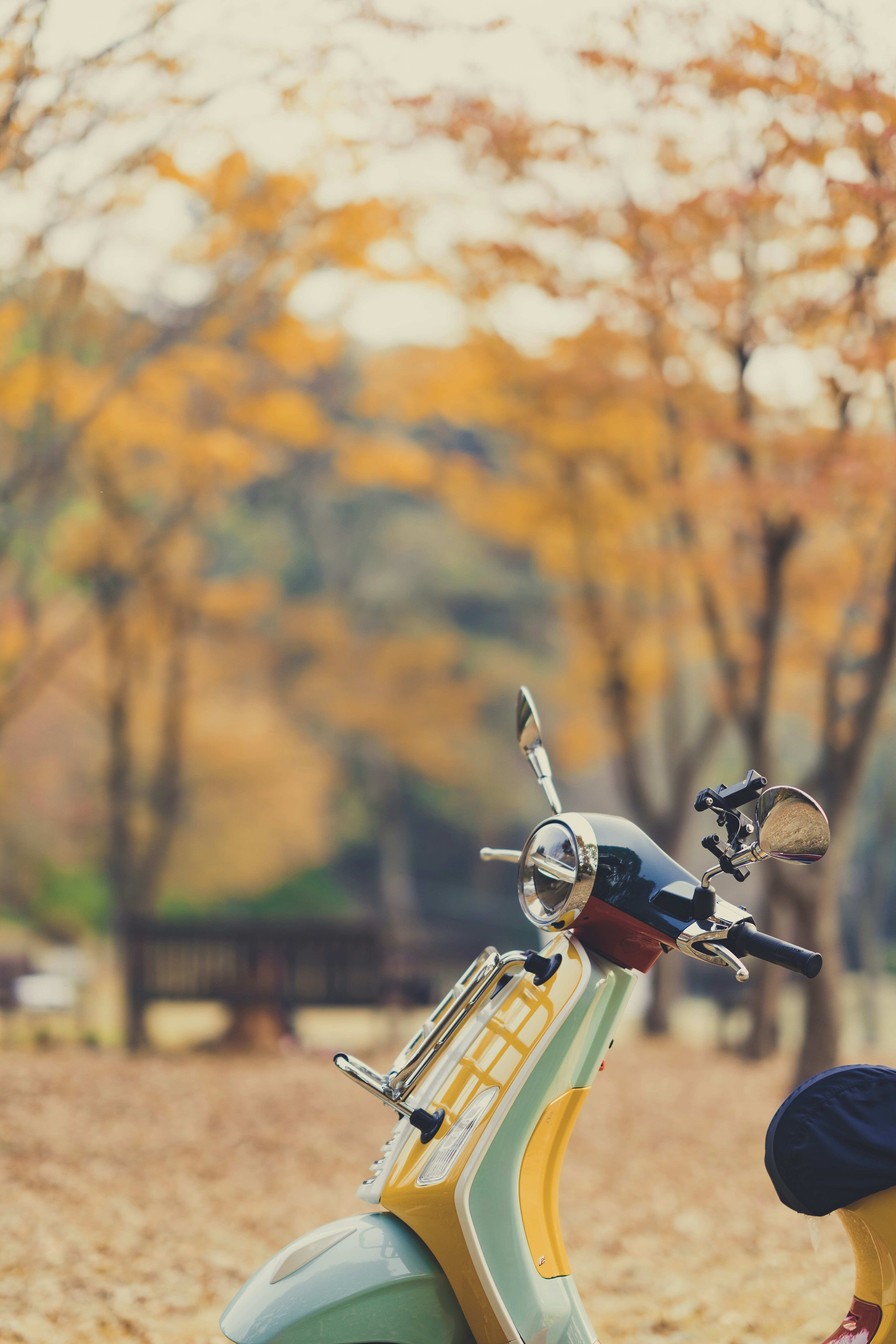 Pastel Scooter in an Autumnal Park