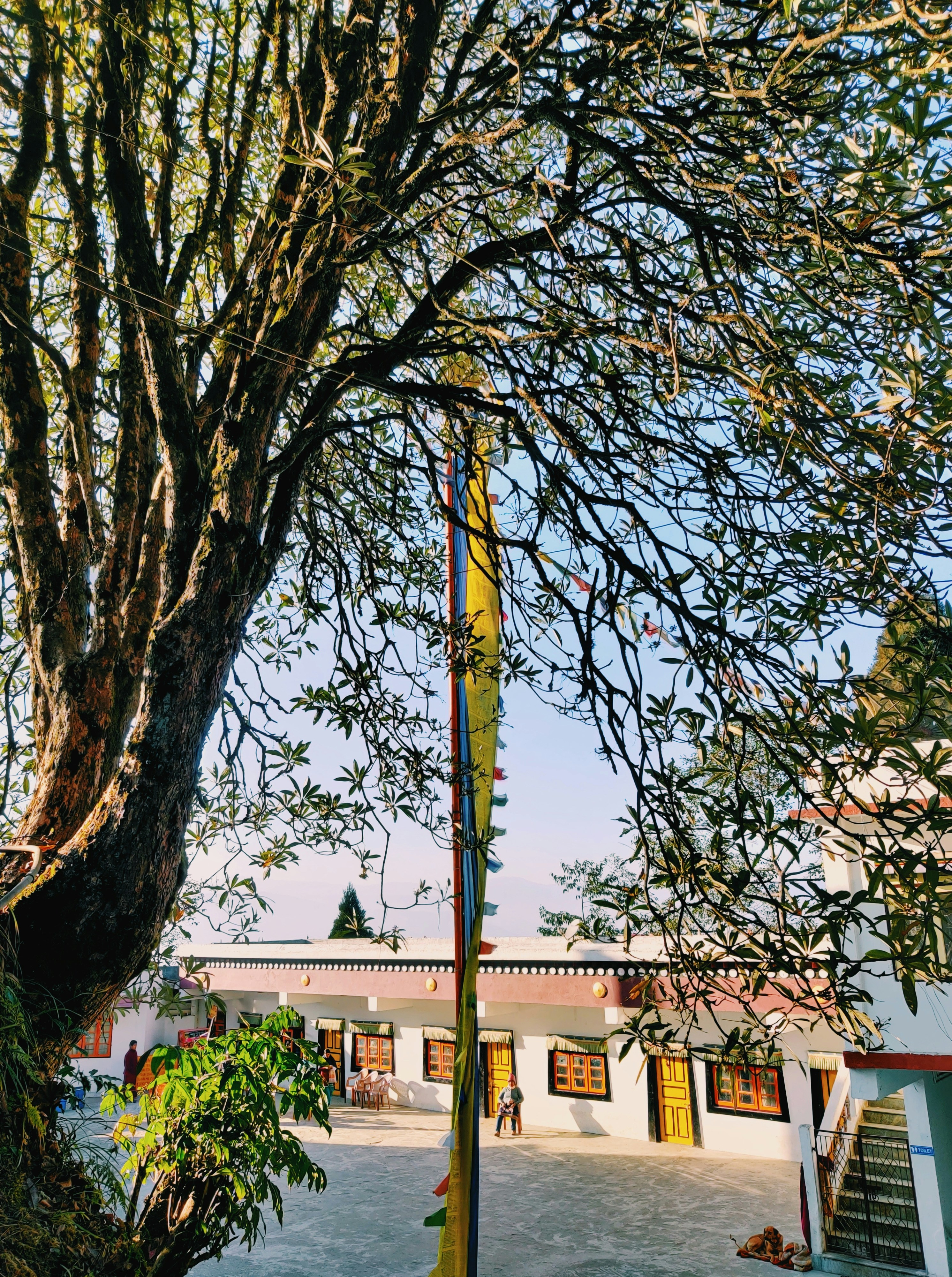 Vibrant Prayer Flag Rising Over a Sunlit Courtyard