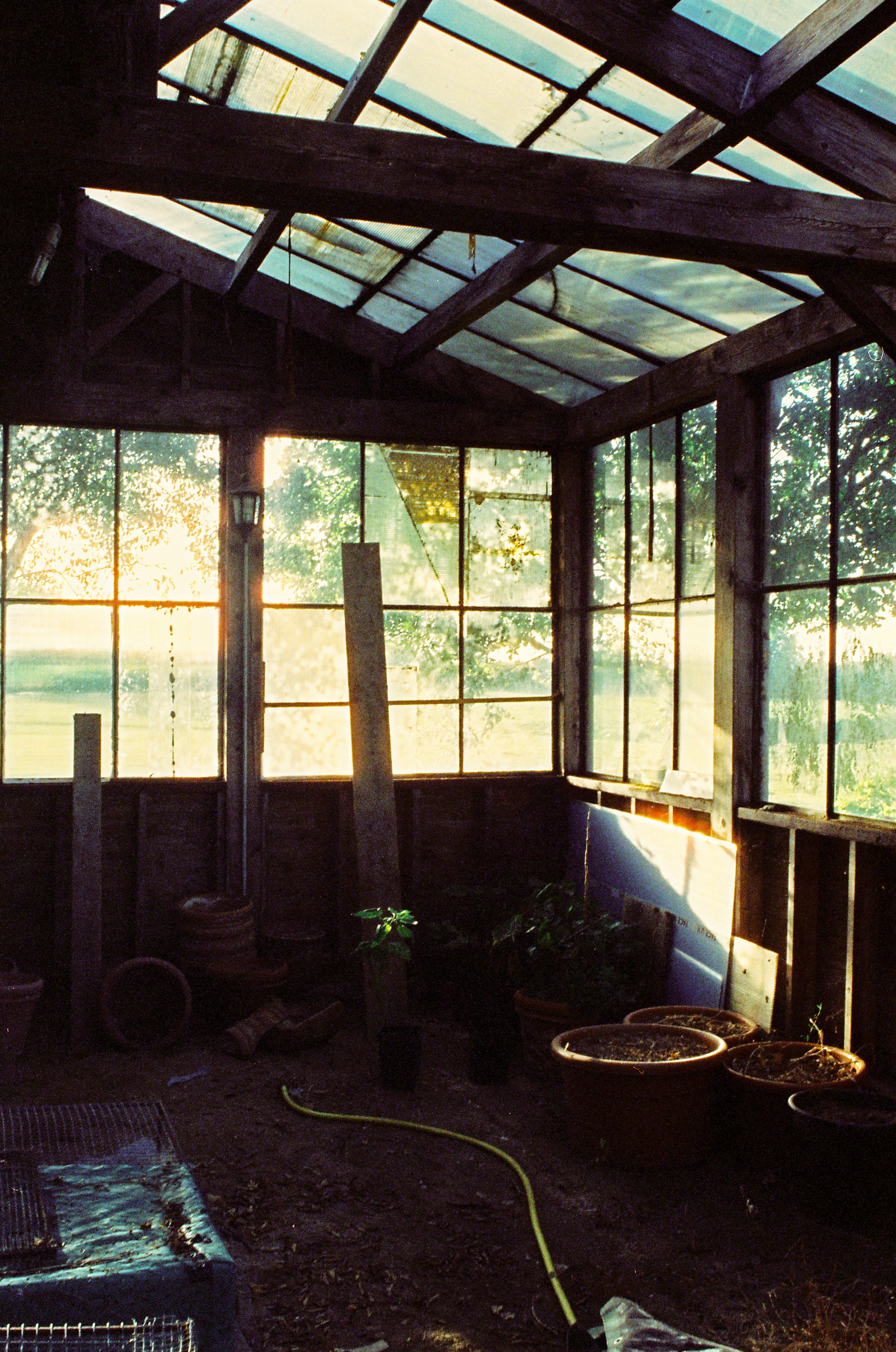 Sunlight filters through timber-and-glass, casting warm amber tones across pots and hoses inside a greenhouse. A quiet, utilitarian workspace captured on film.
