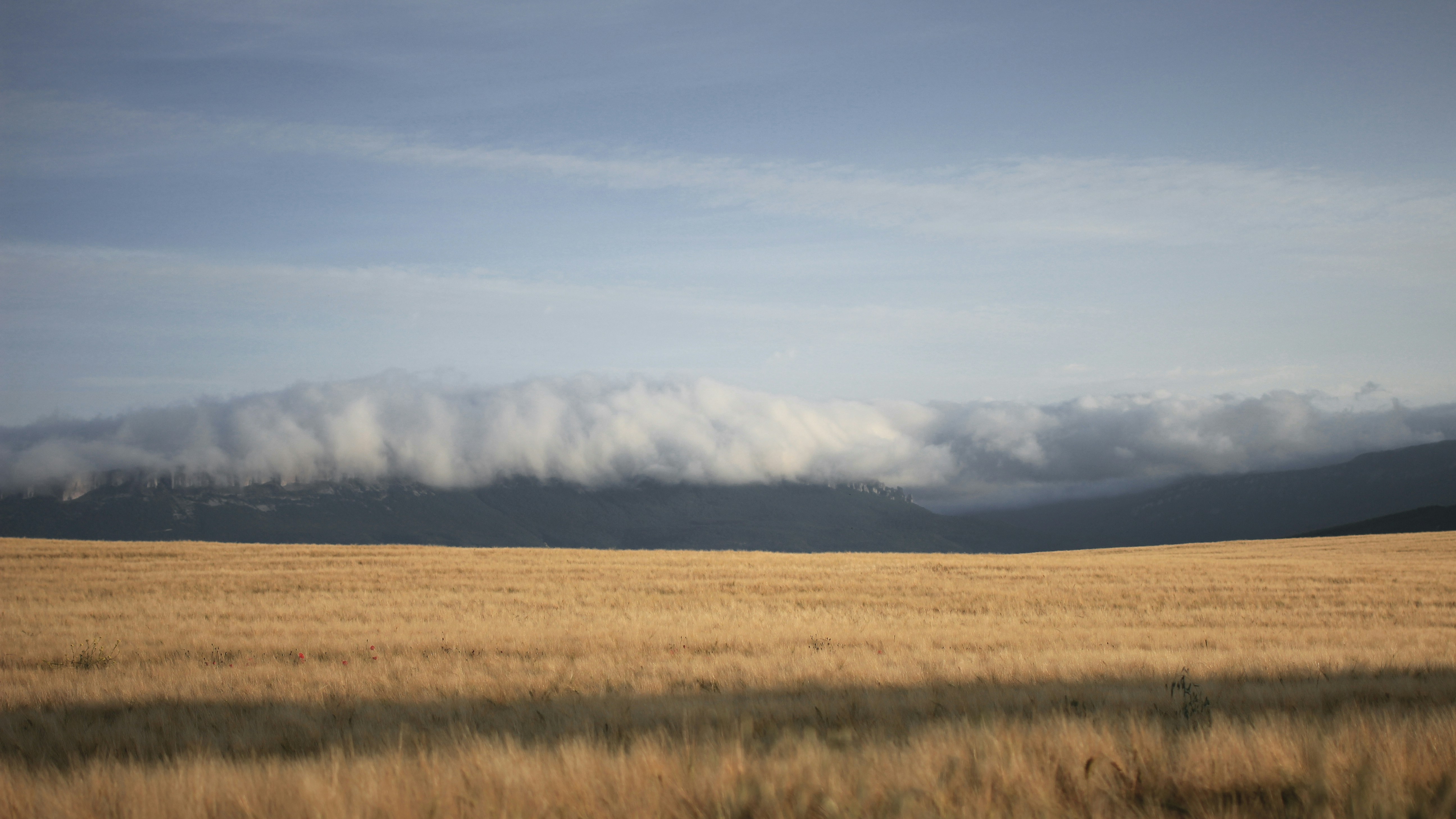 Expansive golden grassland under a serene sky, with clouds gently draping the distant mountains.