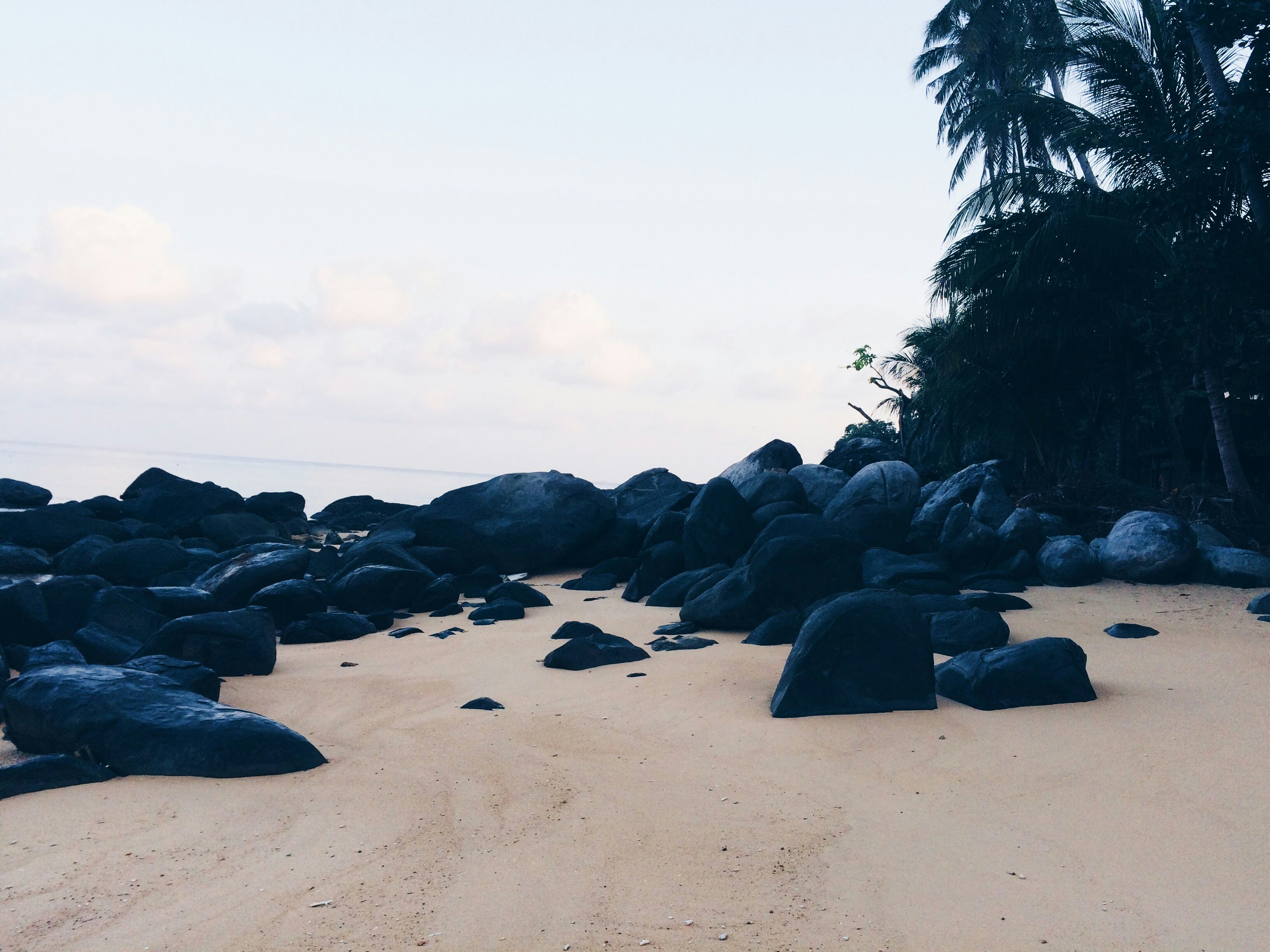 A tranquil beach scene featuring large, dark boulders scattered across a sandy shoreline, framed by lush palm trees. The soft sky hints at an early morning atmosphere.