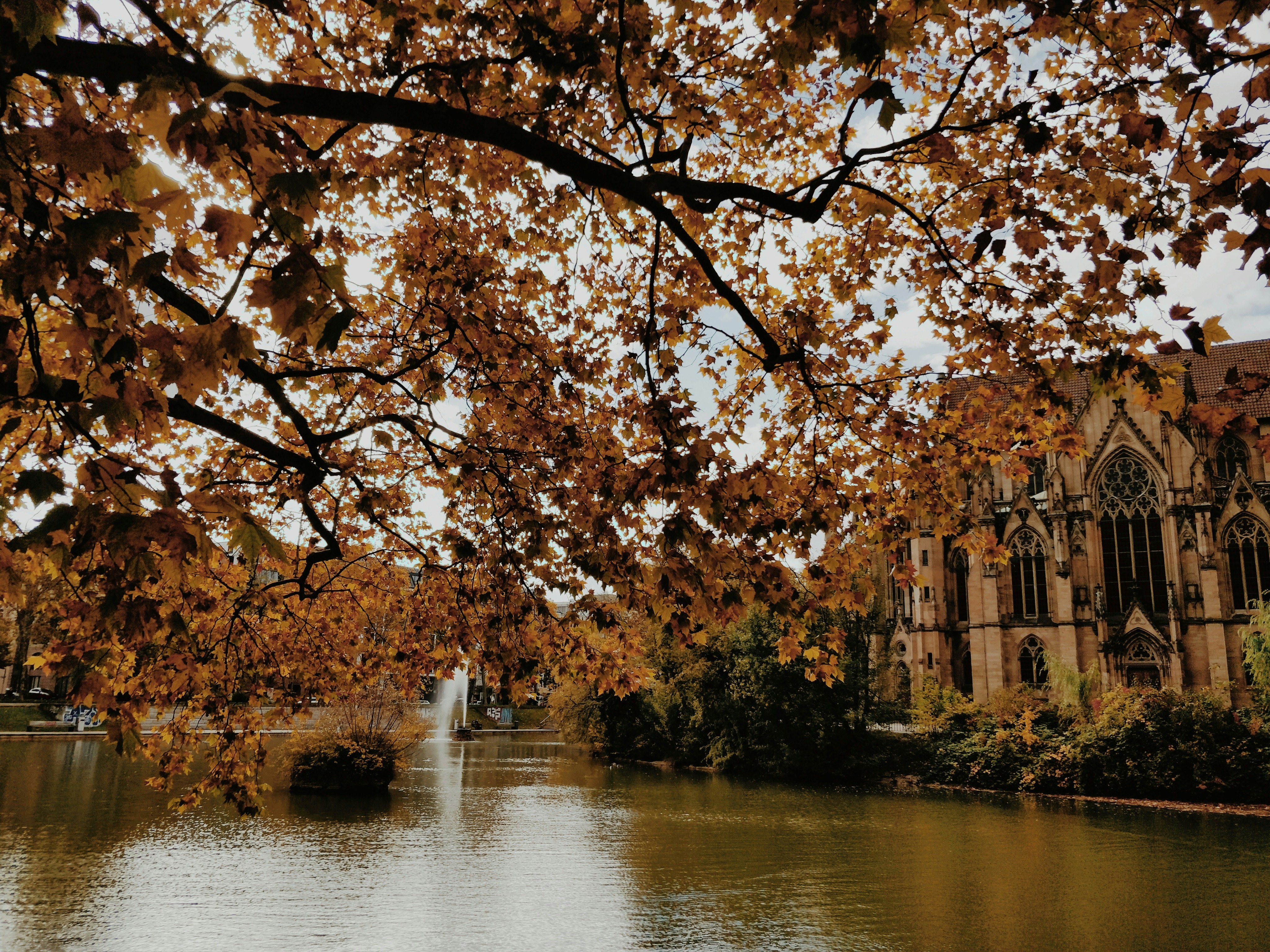 Golden autumn leaves frame a tranquil lake, with a historic building reflected in the water's surface. A gentle fountain adds to the serene atmosphere.