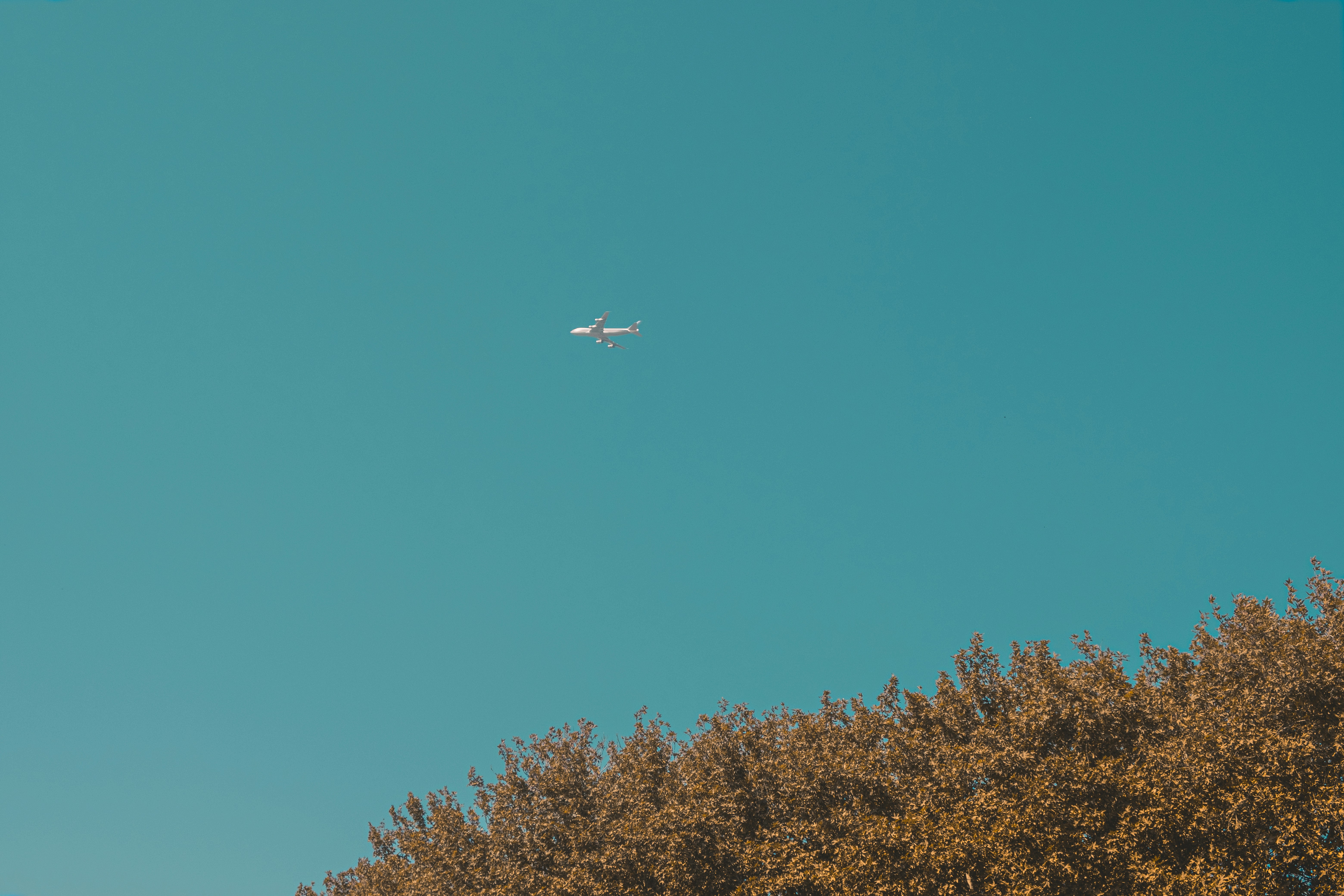 Autumn Skyplane Over a Quiet Tree Line