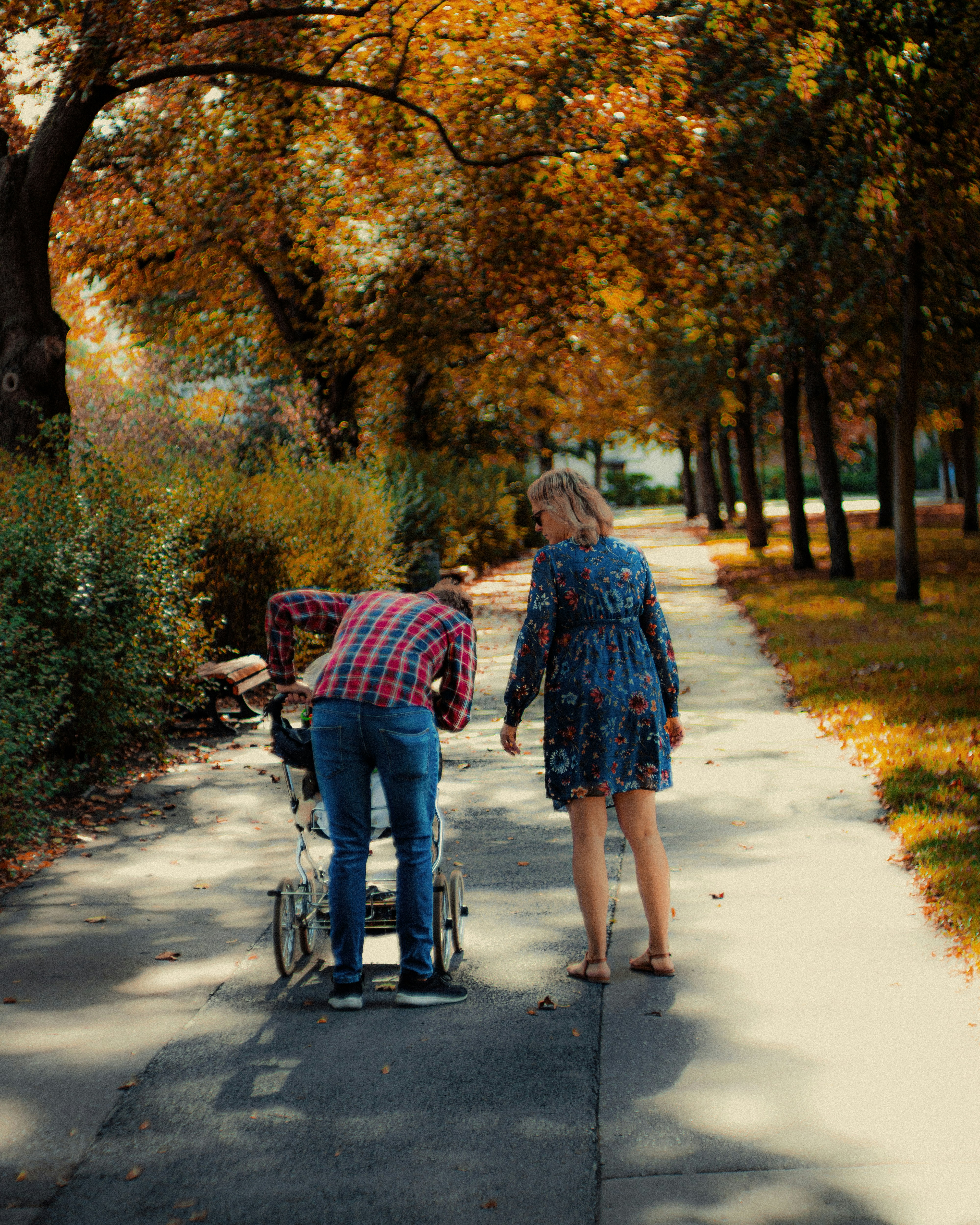 A couple with a stroller pauses on a tree-lined path, surrounded by vibrant autumn foliage. The scene captures a moment of connection and care.