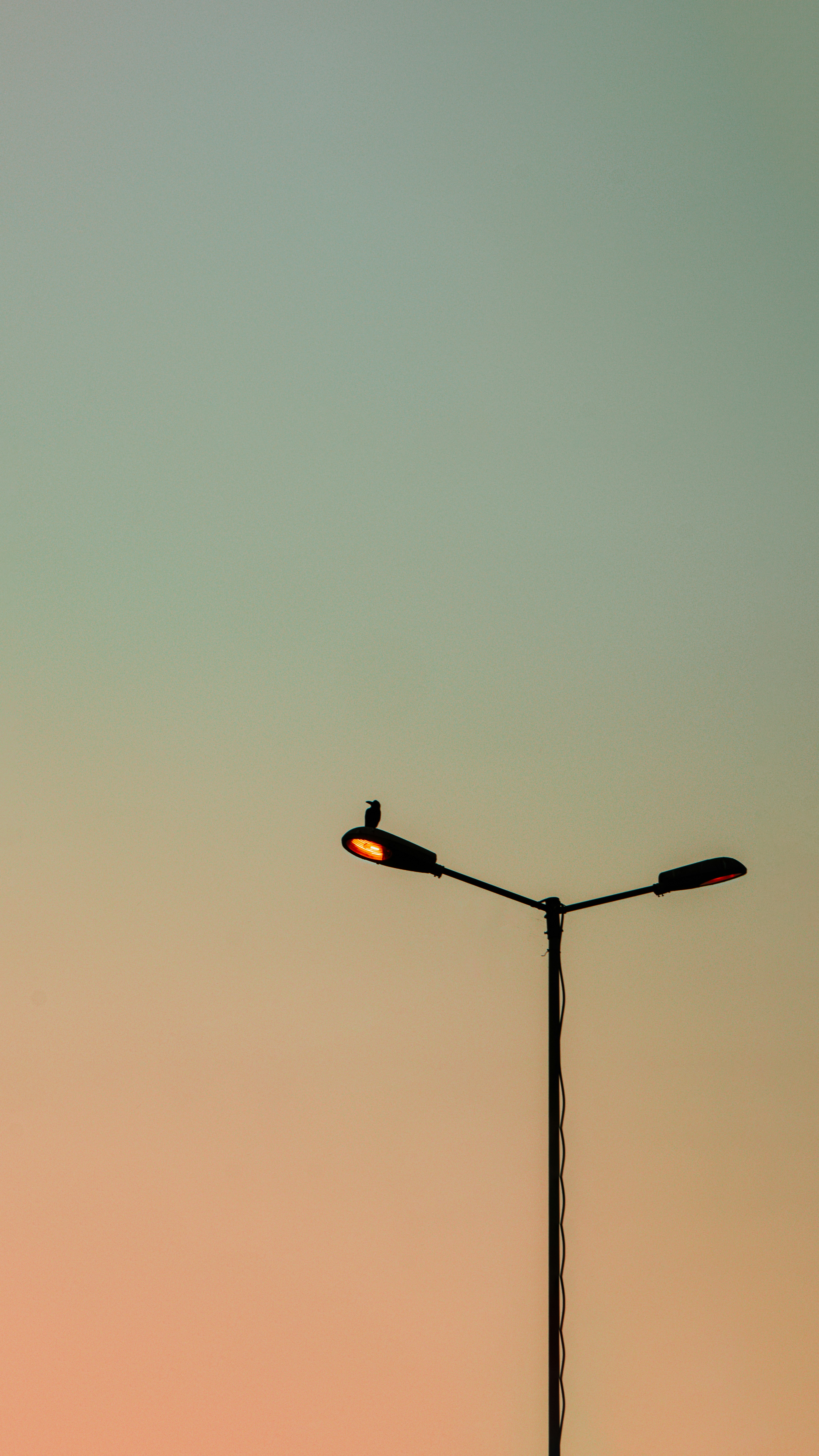 A solitary lamp post stands against a gradient sky, with a small bird perched atop, embodying tranquility and solitude.