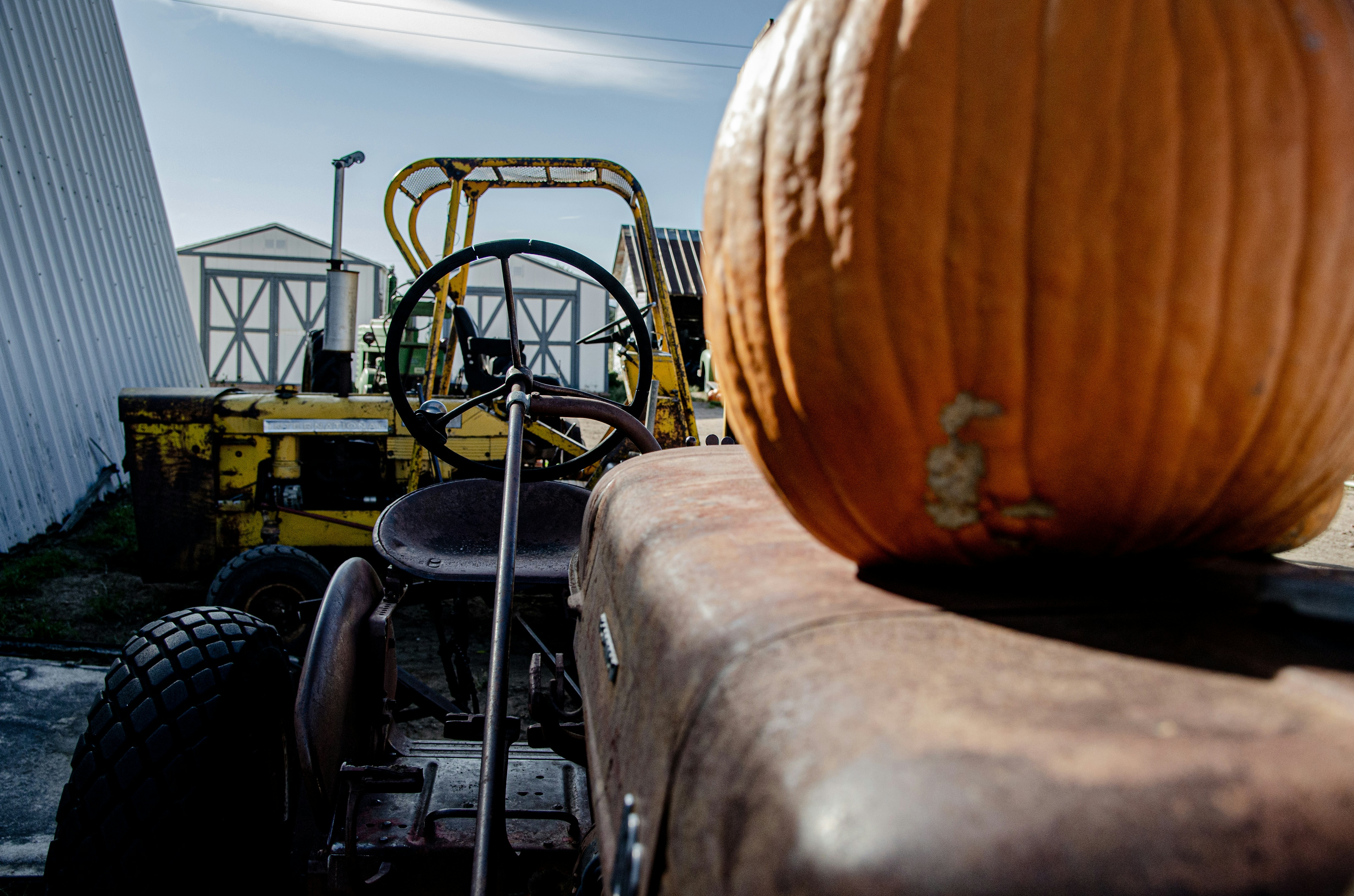 Harvested Rust: A Pumpkin Soldier Watches Over Vintage Machinery