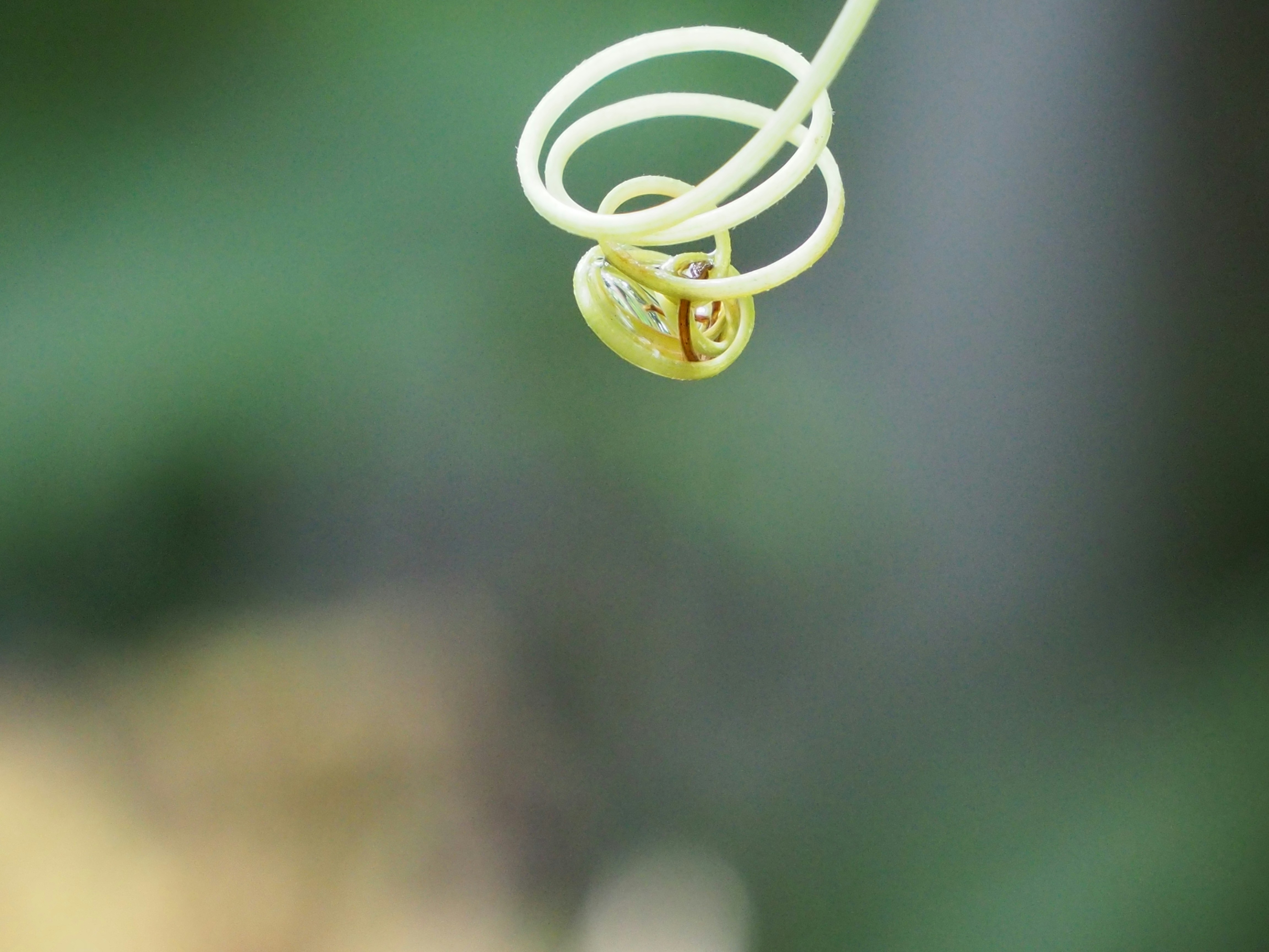 white spiral light on black background