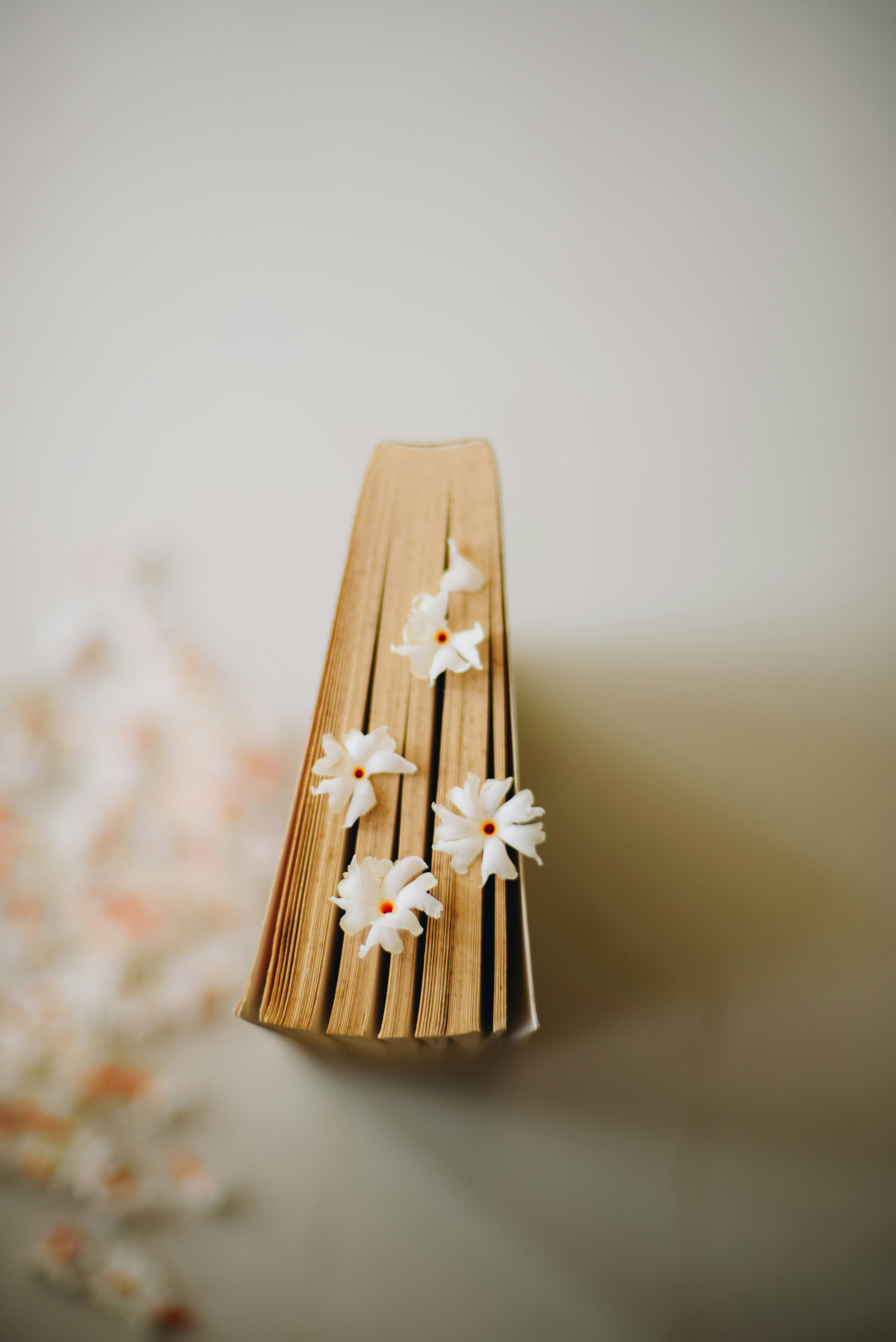 Floating petals: a page-edge bouquet in soft focus